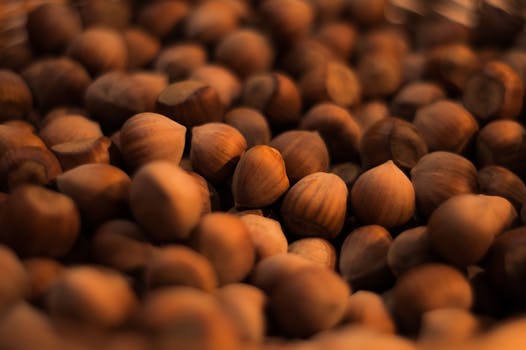 Brown Nuts on Table · Free Stock Photo