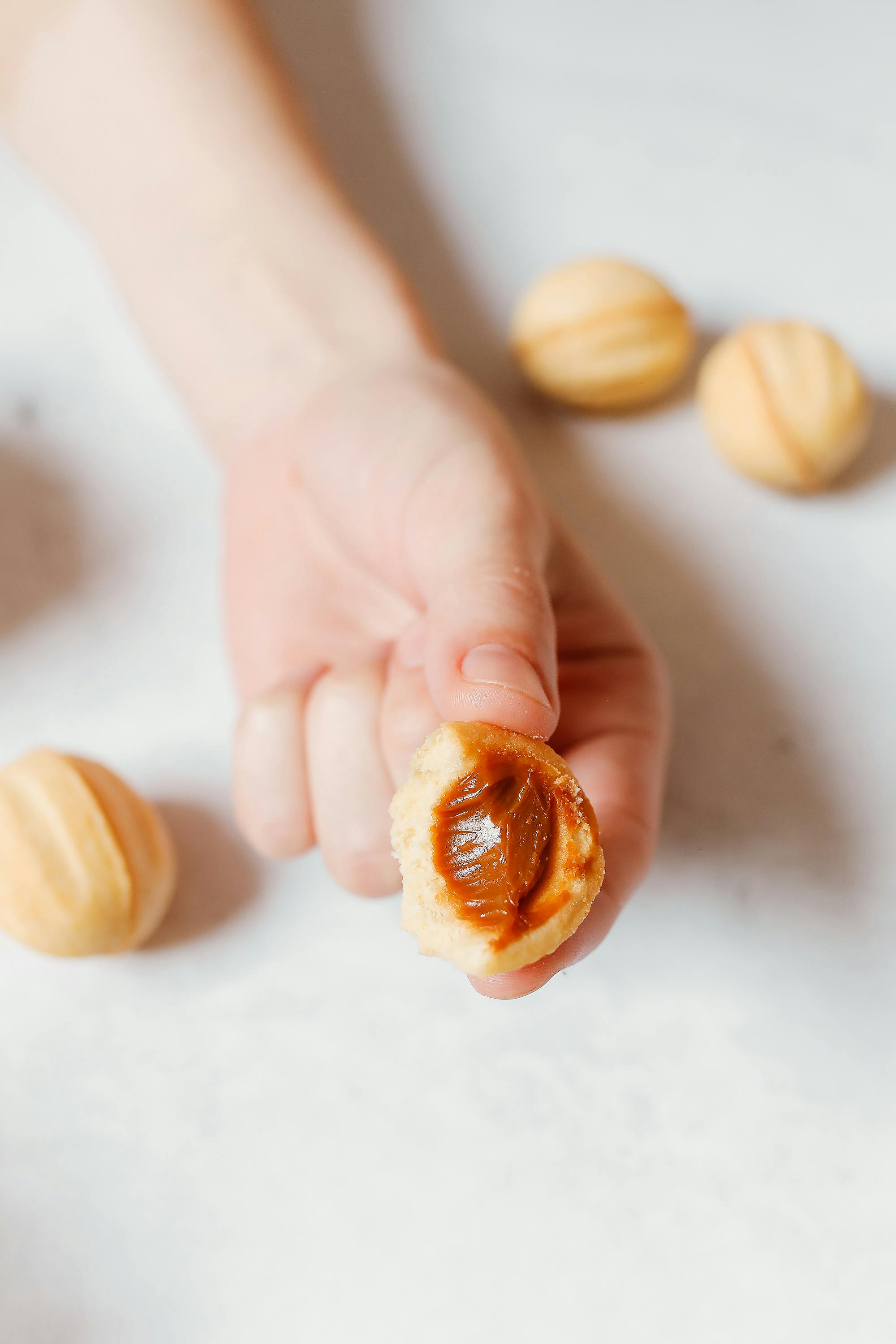 Walnut Shape Photos, Download The BEST Free Walnut Shape Stock Photos ...