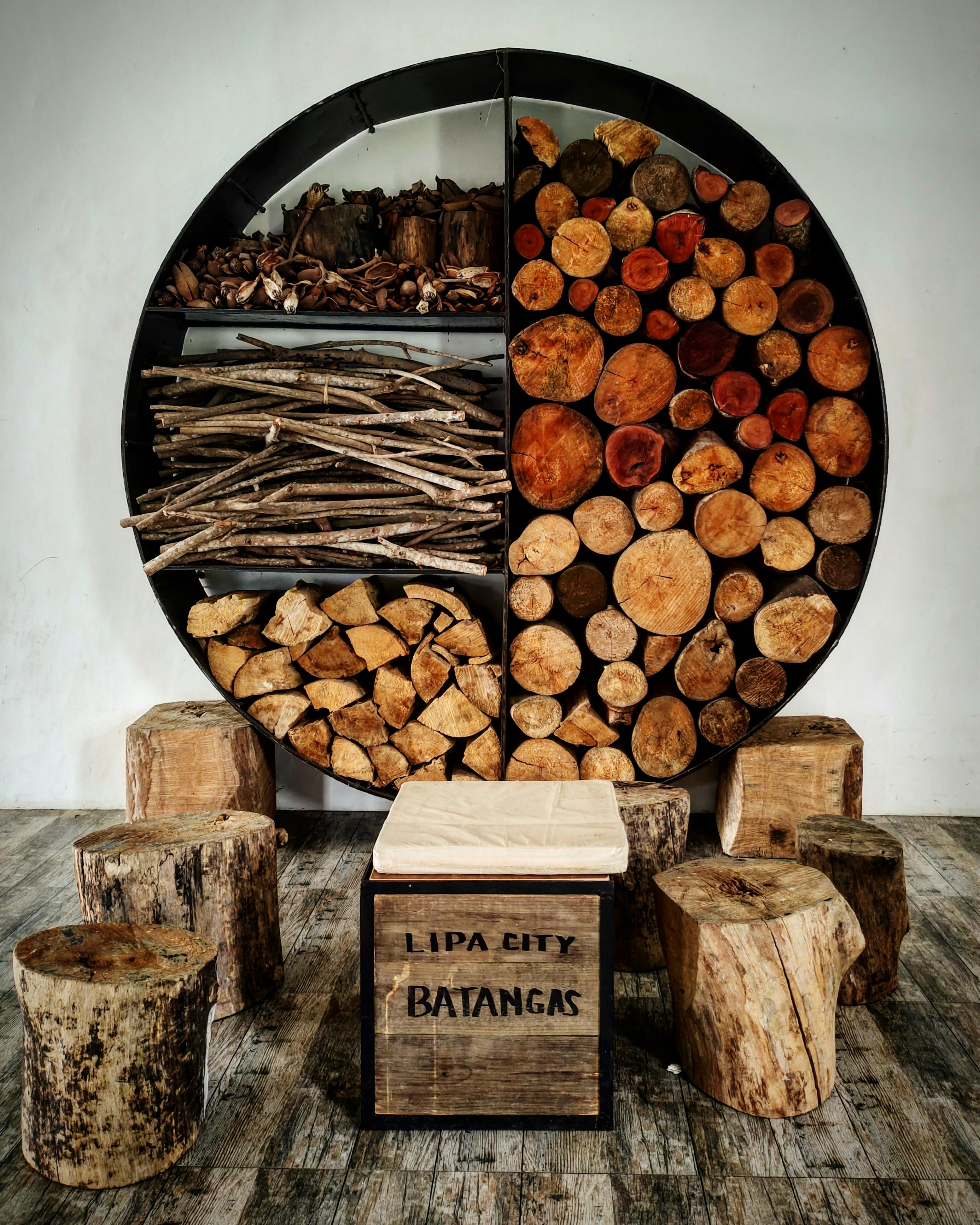 Brown and Beige Wood Logs · Free Stock Photo