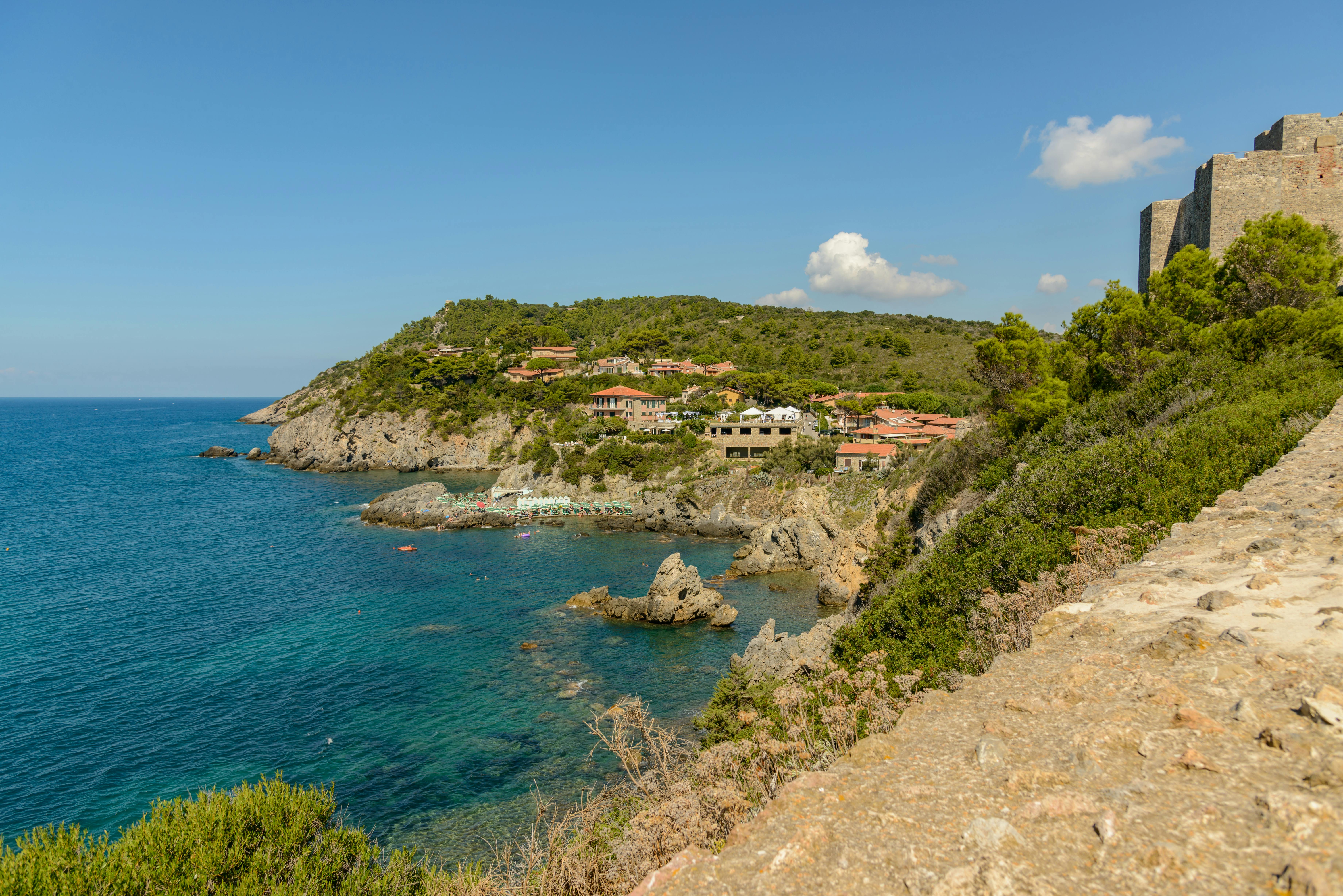 A Beautiful Landscape with Green Trees and Houses Near the Ocean · Free ...