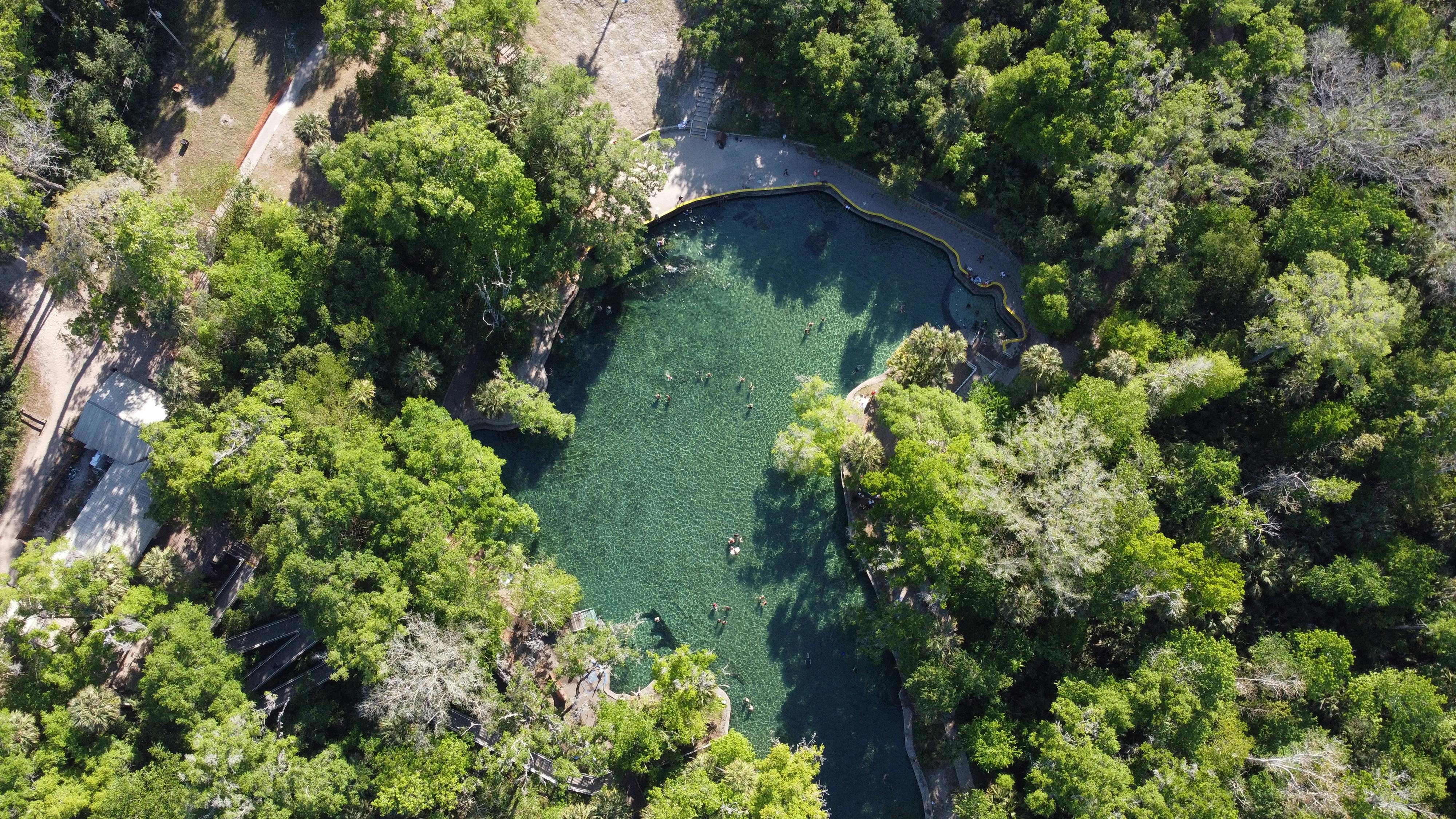 Aerial View of a Green Swimming Pool in a Park · Free Stock Photo
