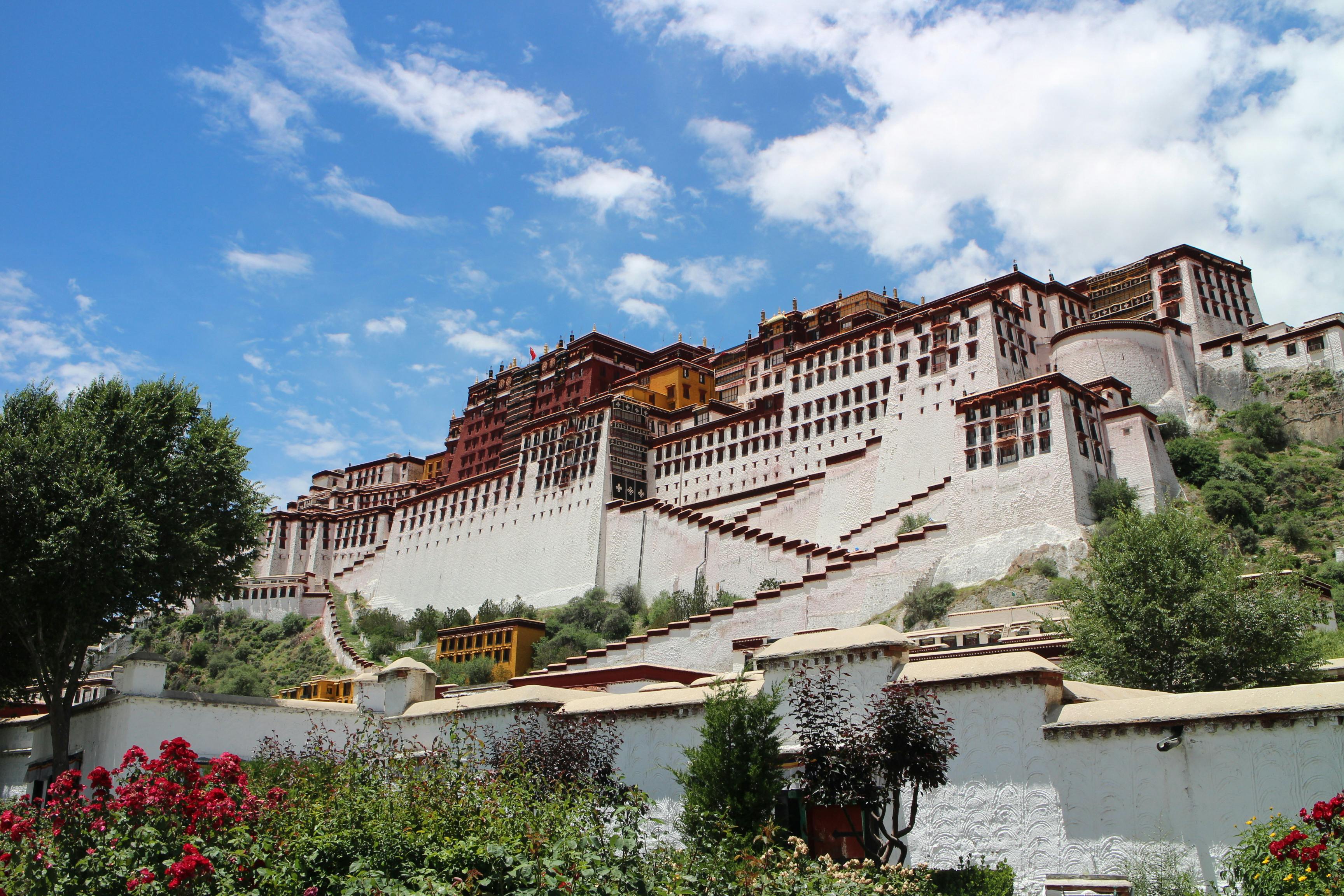 Skript Lhasa Photos, Download The BEST Free Skript Lhasa Stock Photos ...