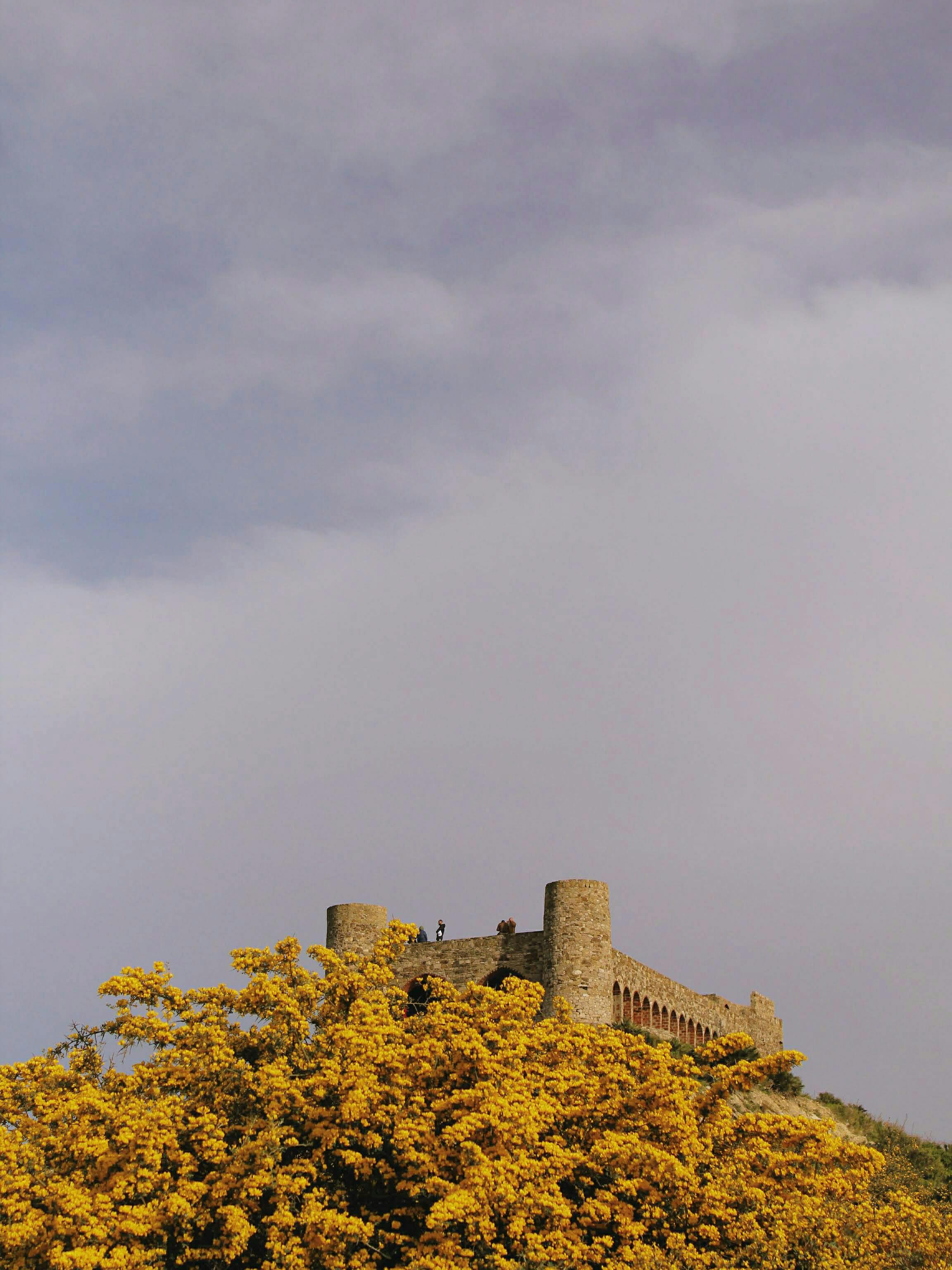 Color Leakage Photos, Download The BEST Free Color Leakage Stock Photos ...