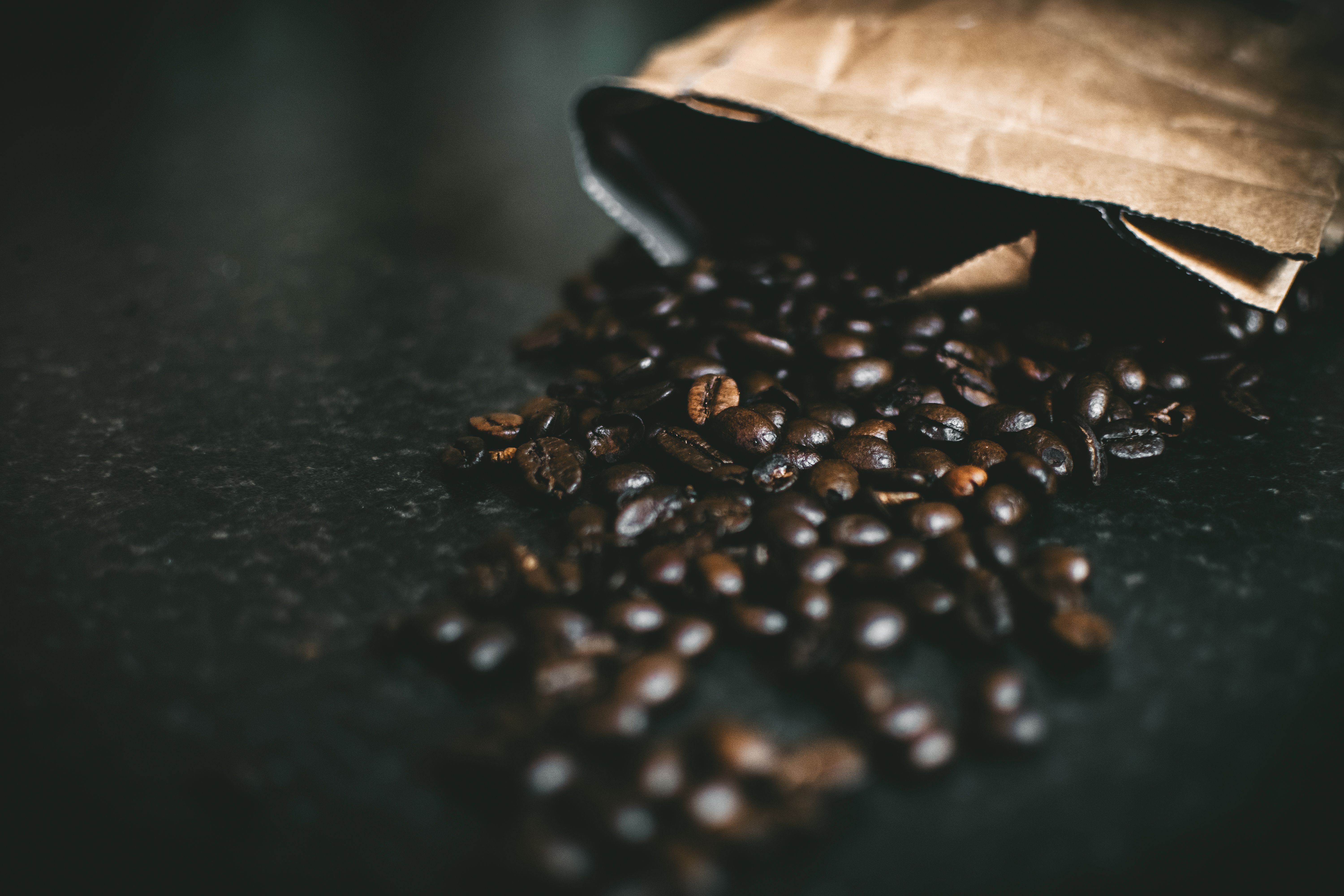 Shallow Focus Photo of Coffee Beans · Free Stock Photo