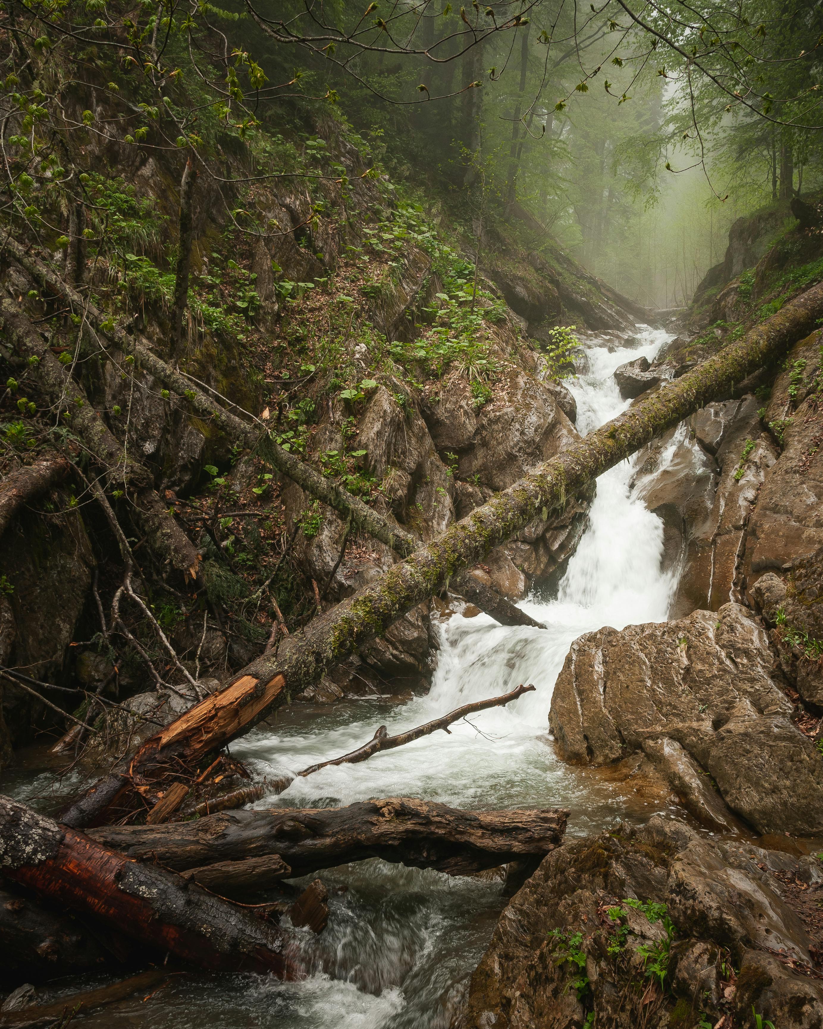 Flowing River · Free Stock Photo