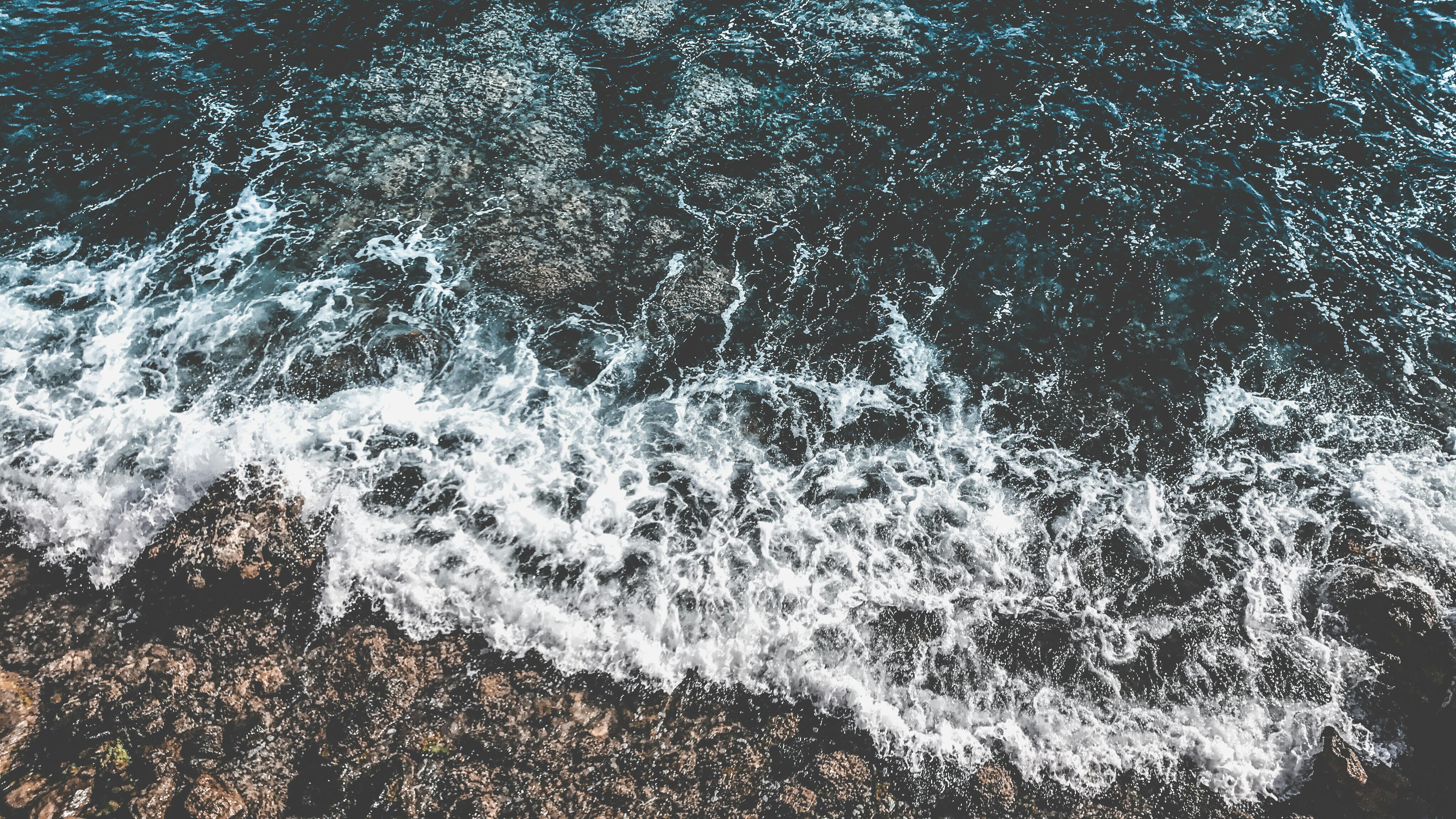 White Sea Wave · Free Stock Photo