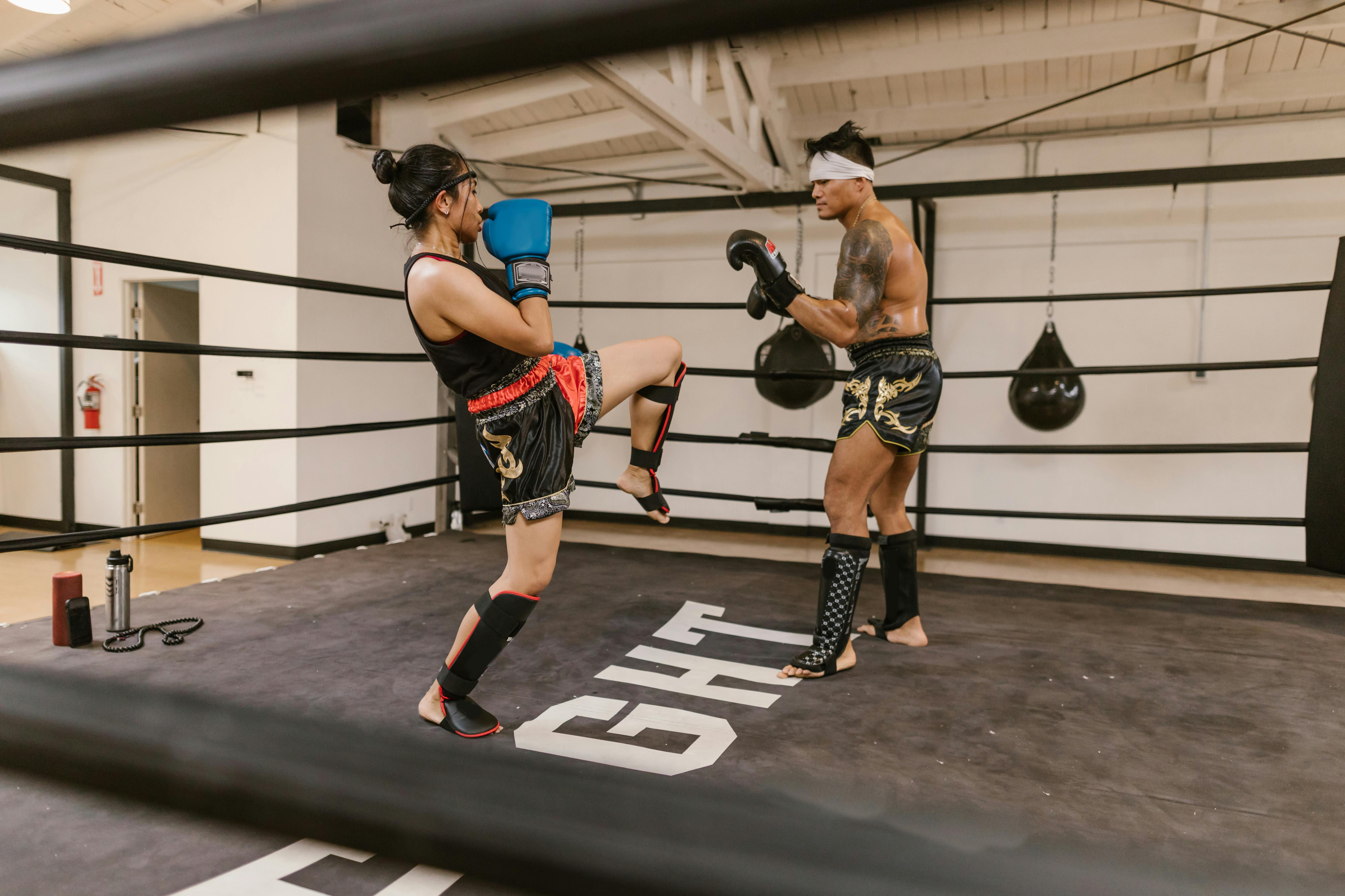 A Boxer Wearing Gloves in Training · Free Stock Photo