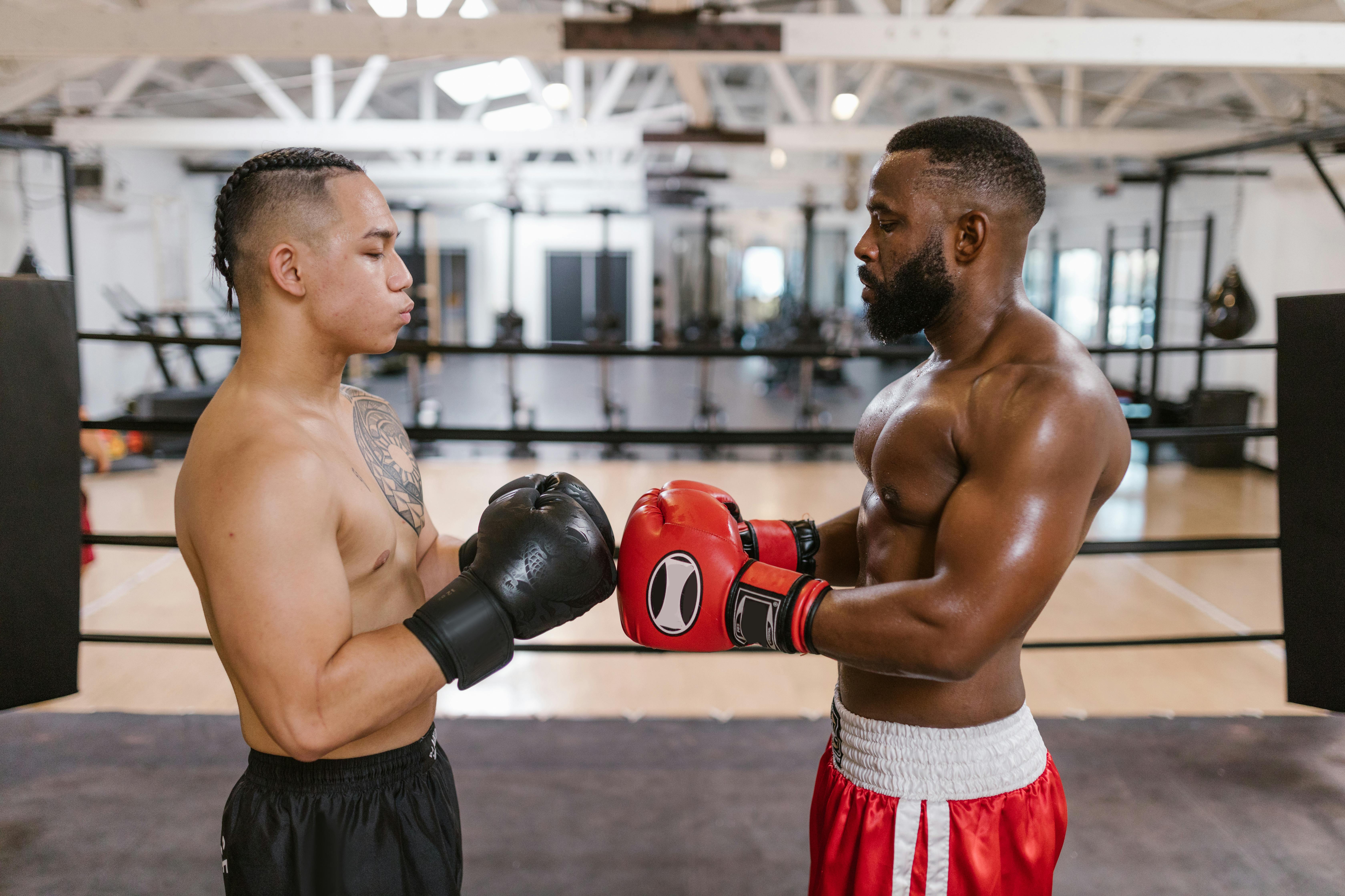 Men Wearing Boxing Gloves · Free Stock Photo