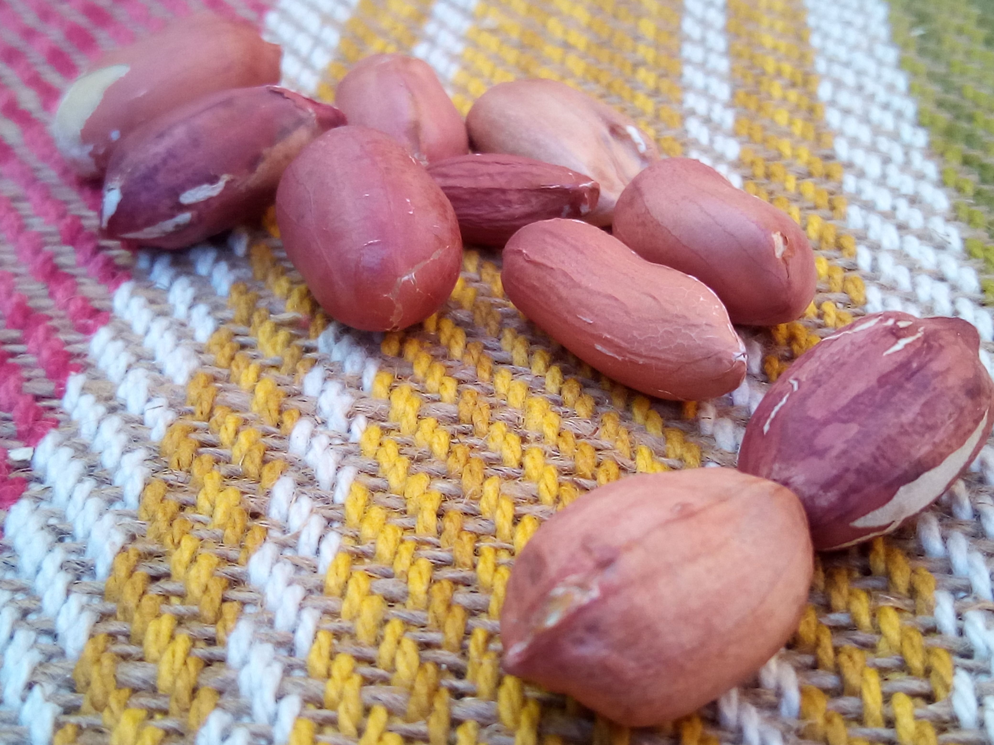 Peanuts - Arachides 6 Photos & Videos Collected by DN.Blessing