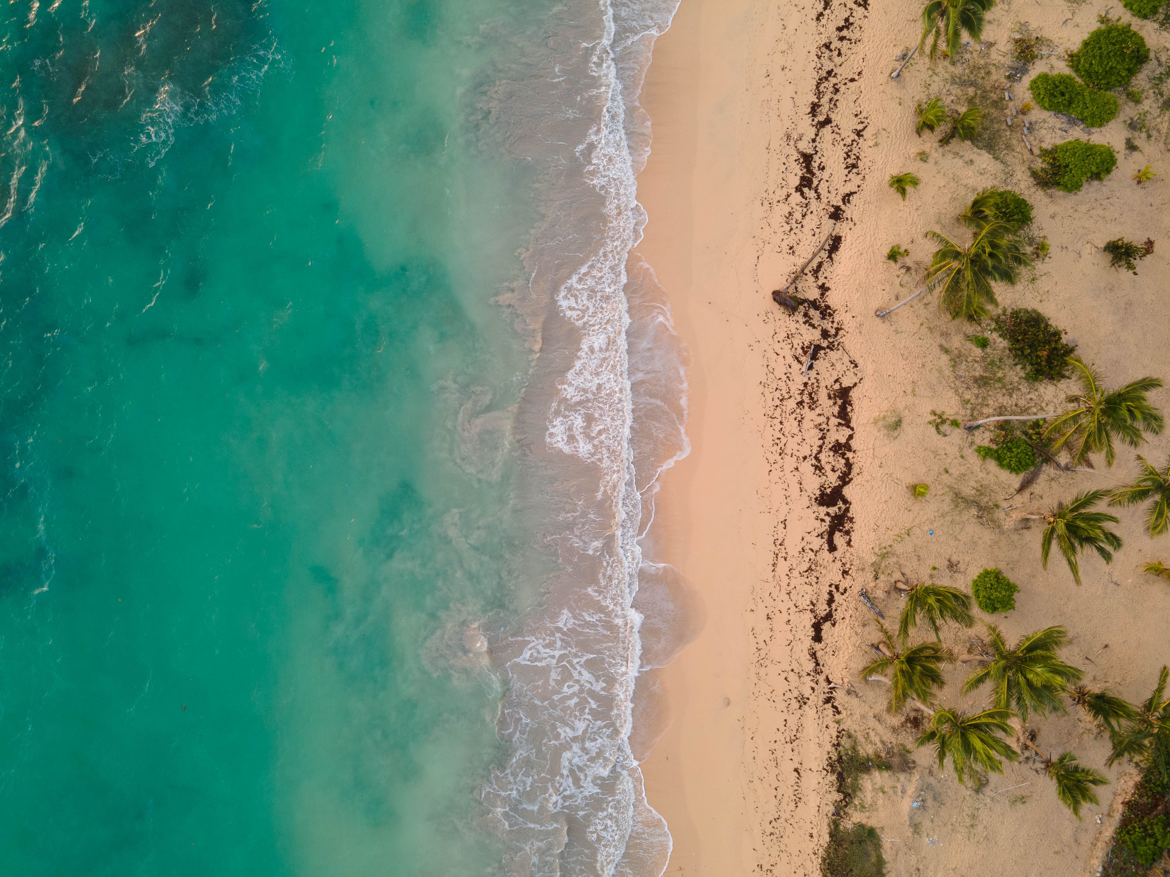 Aerial Photography of Beach · Free Stock Photo