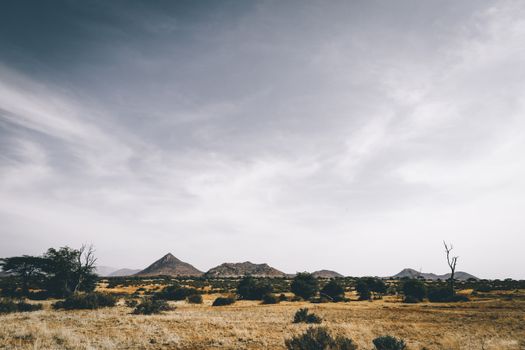 50+ Great Wasteland Photos · Pexels · Free Stock Photos