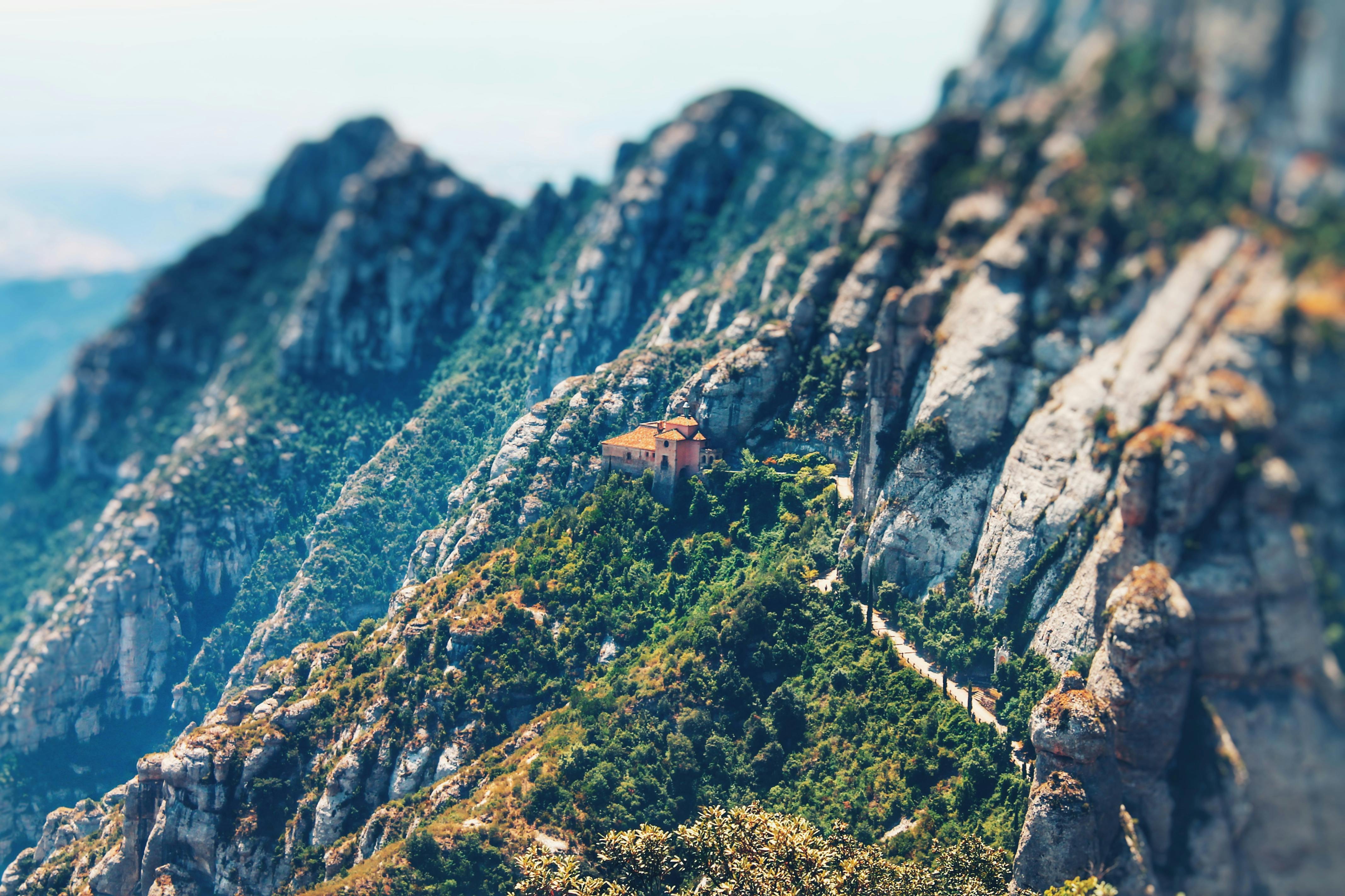 Grey Rocky Mountain With Trees · Free Stock Photo