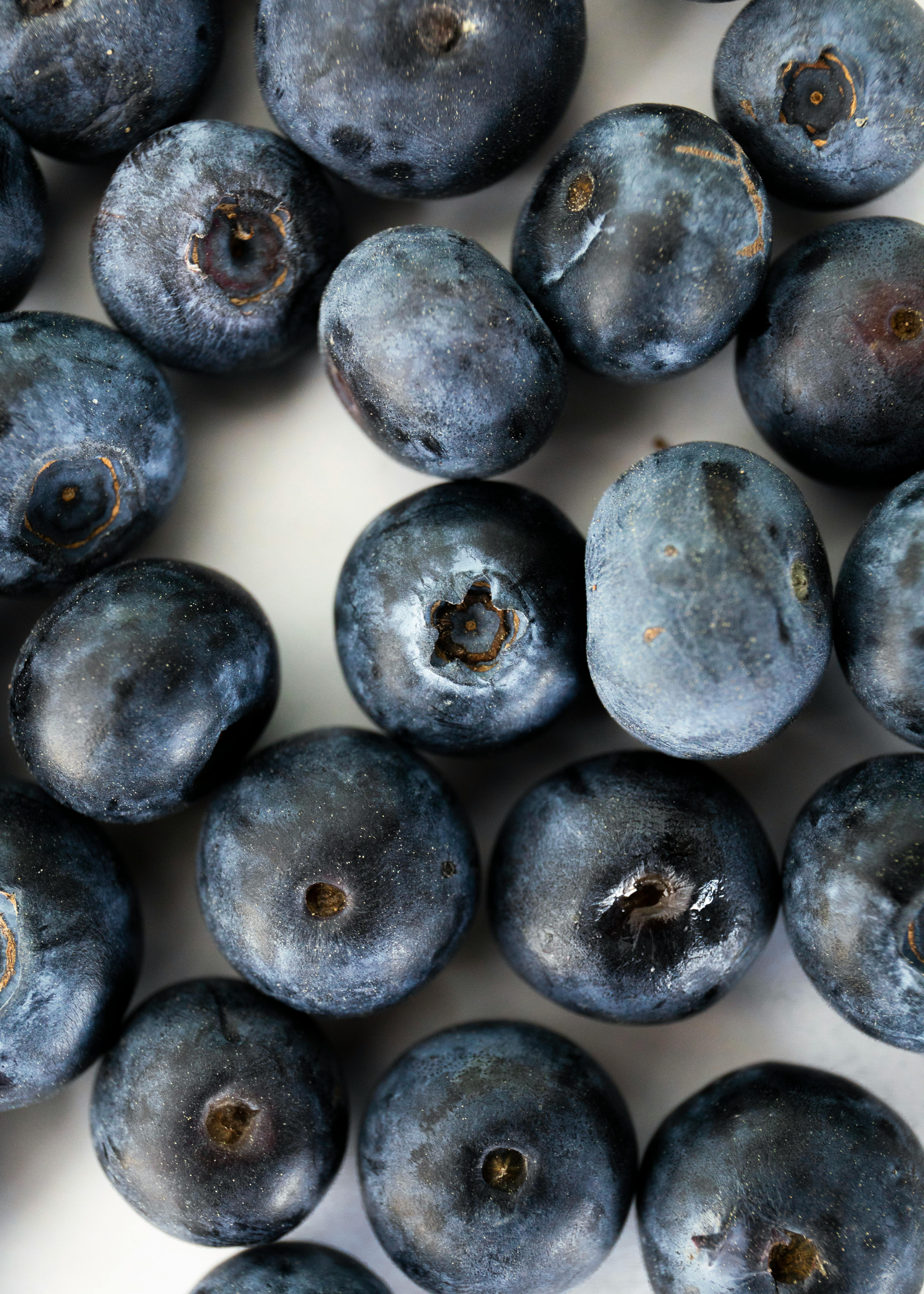 Closeup Photography Blueberry Fruits · Free Stock Photo