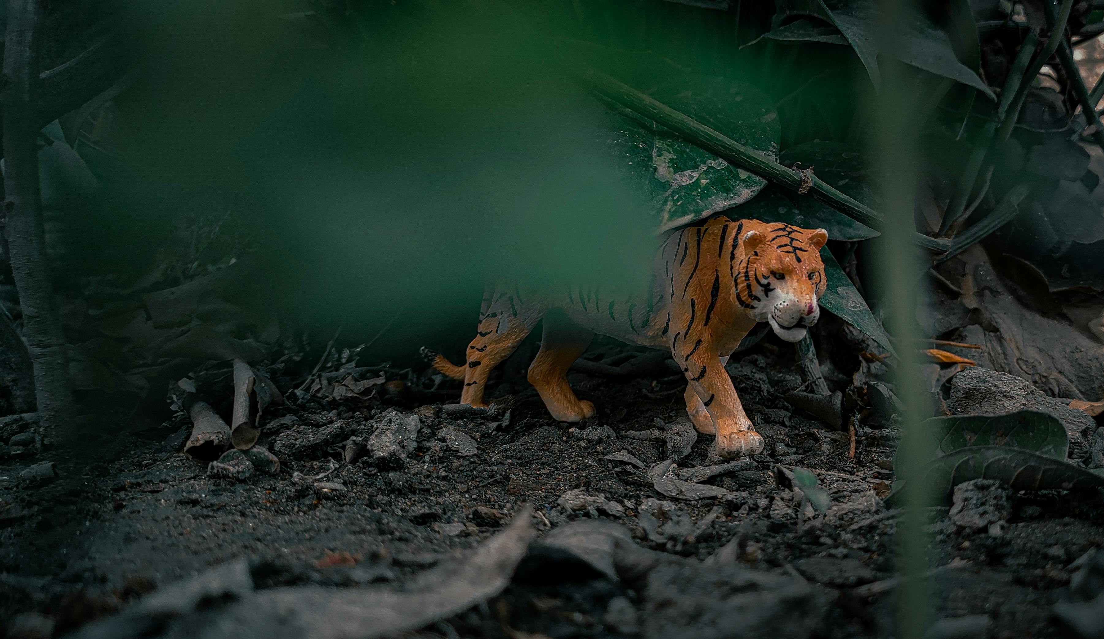 Chumber Photography - 사진