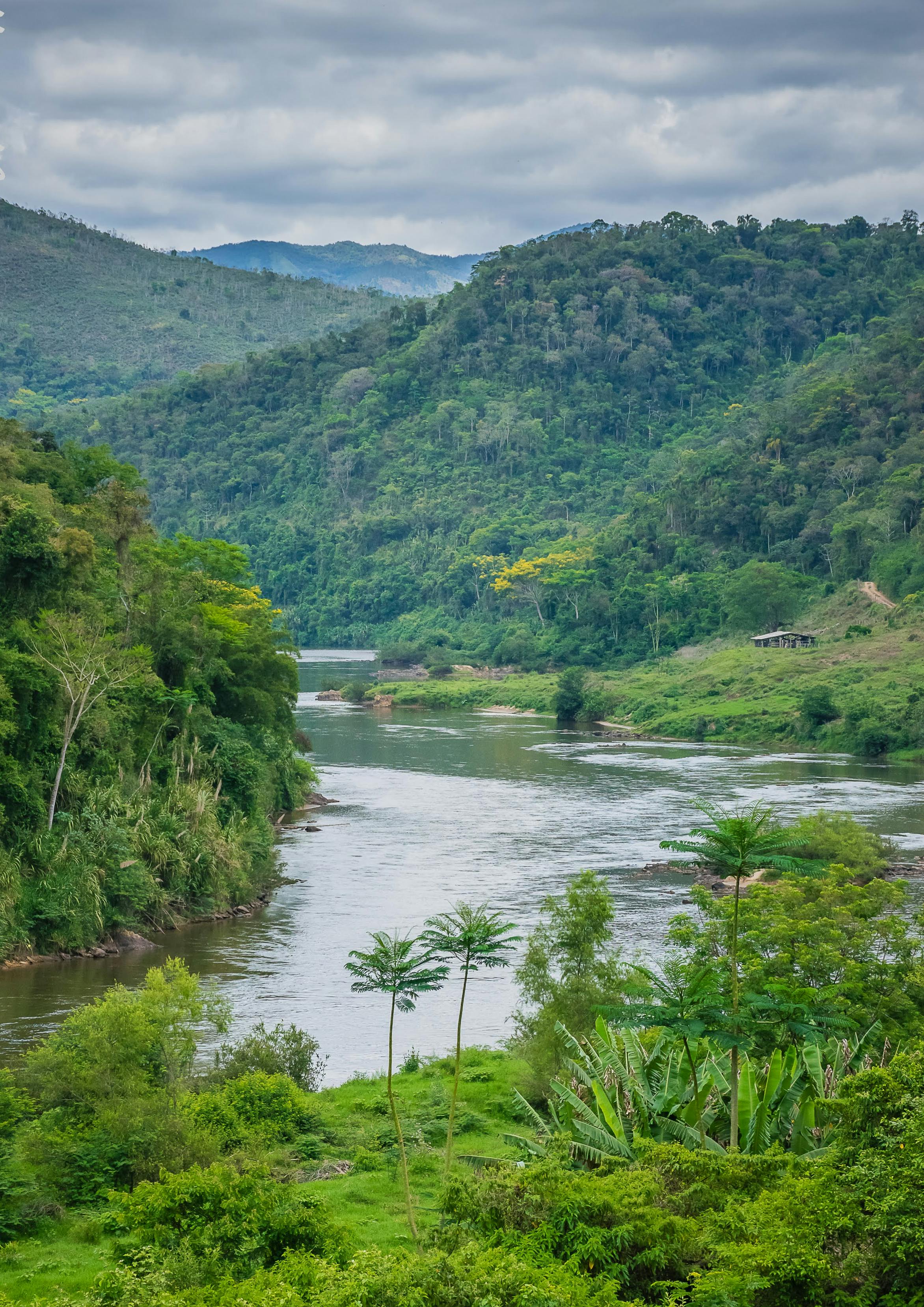 Photo of Trees Beside River · Free Stock Photo