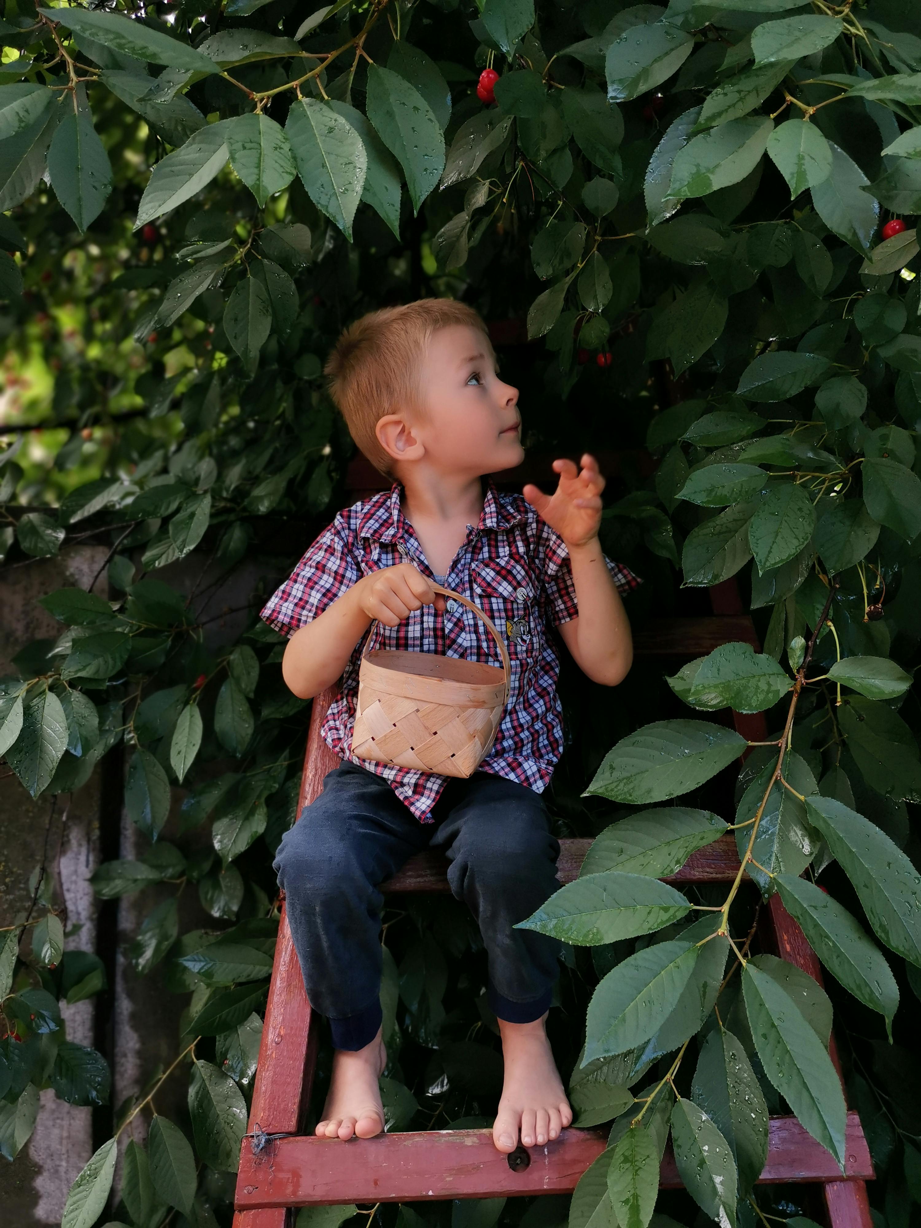 Ruby Cute Photos, Download The BEST Free Ruby Cute Stock Photos & HD Images