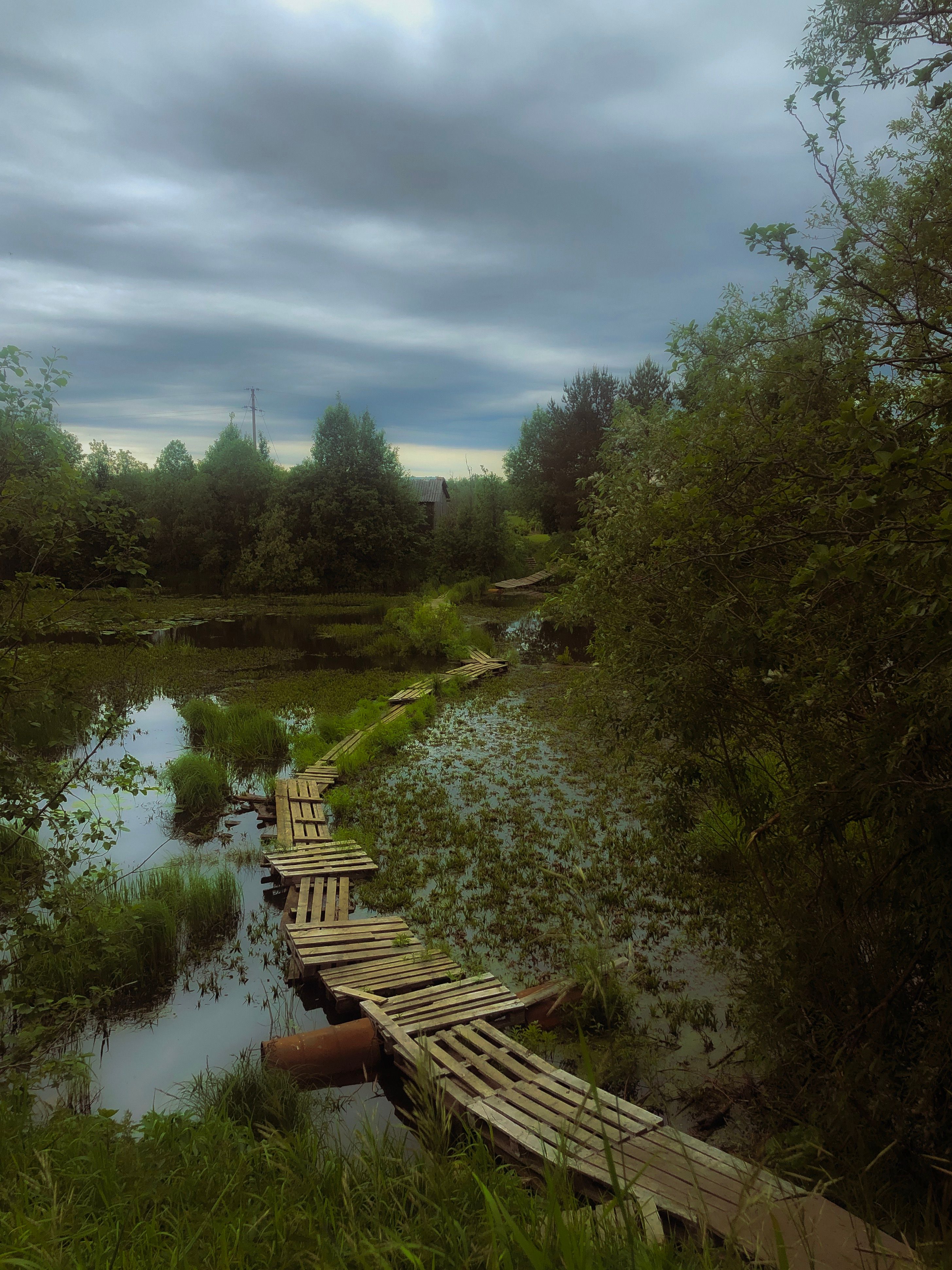 A Boardwalk Over a Pond · Free Stock Photo
