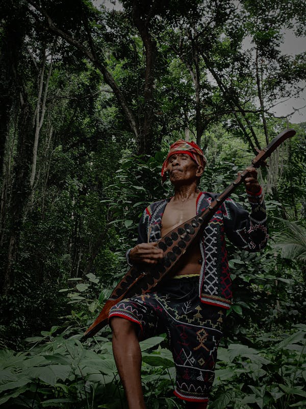 Kutiyapi Photos, Download The BEST Free Kutiyapi Stock Photos & HD Images