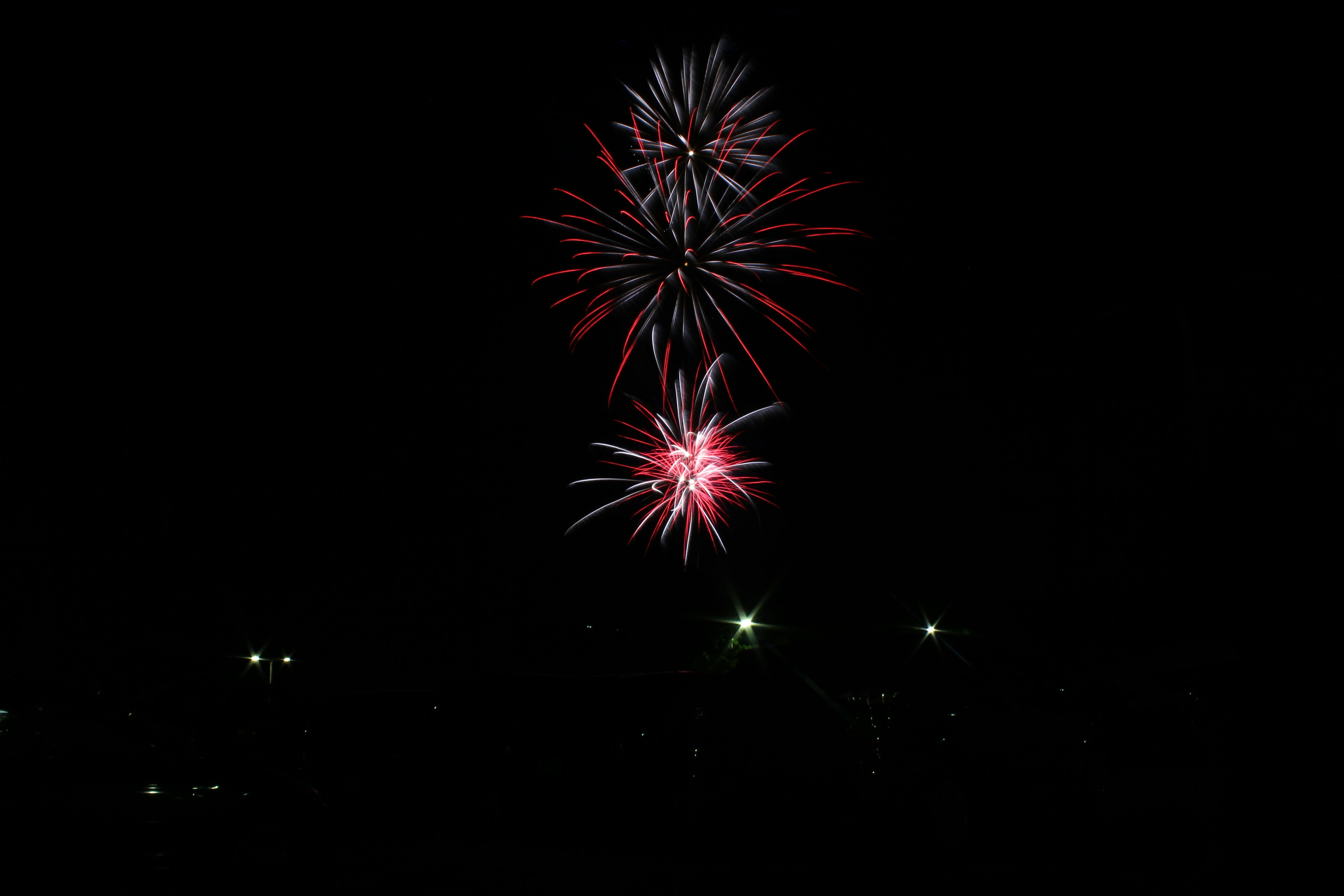 Blue and Red Brocade Fireworks at Night · Free Stock Photo