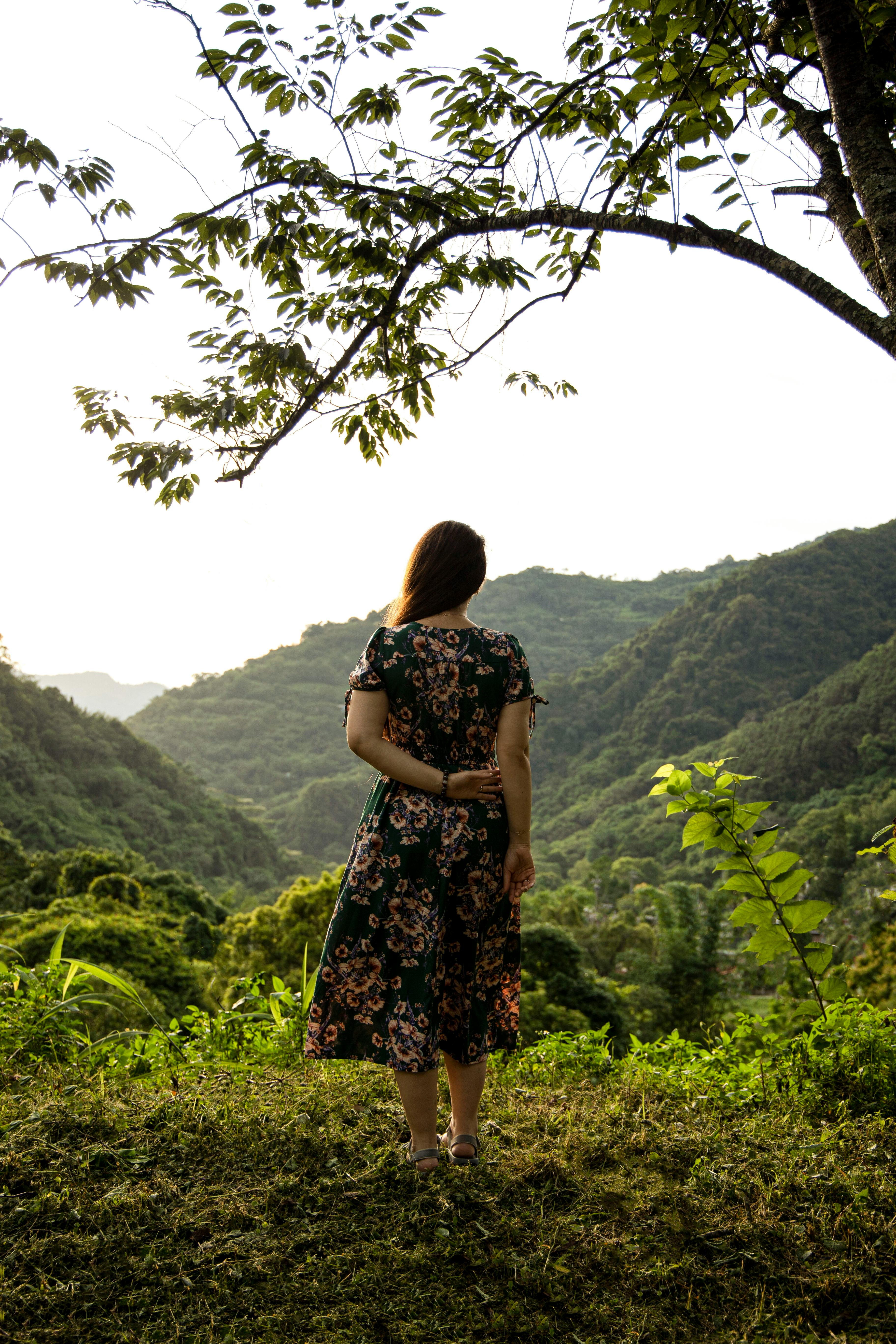 Back View Portrait of a Woman · Free Stock Photo
