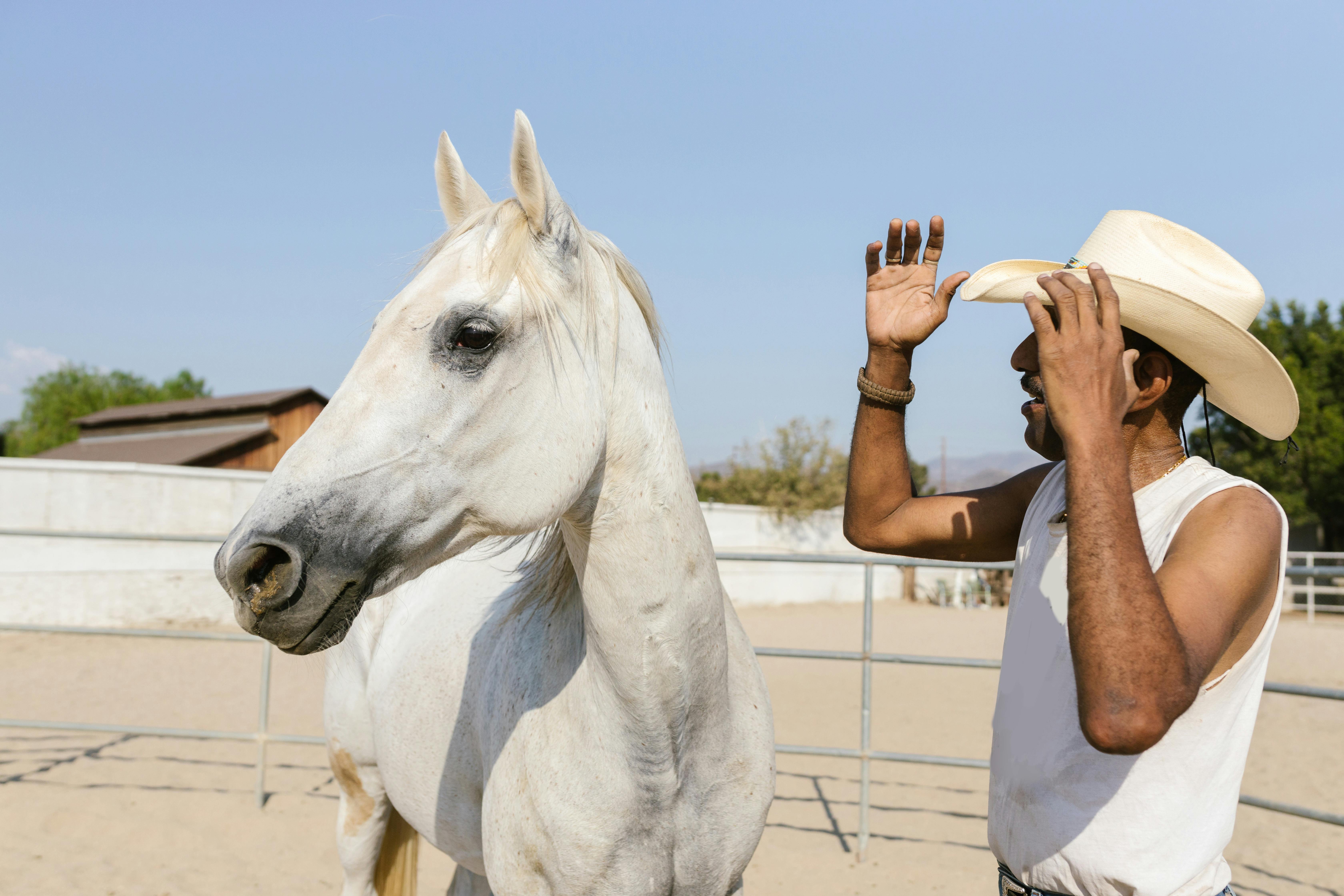 Man on White Horse Next to Dog on Grassy Field · Free Stock Photo