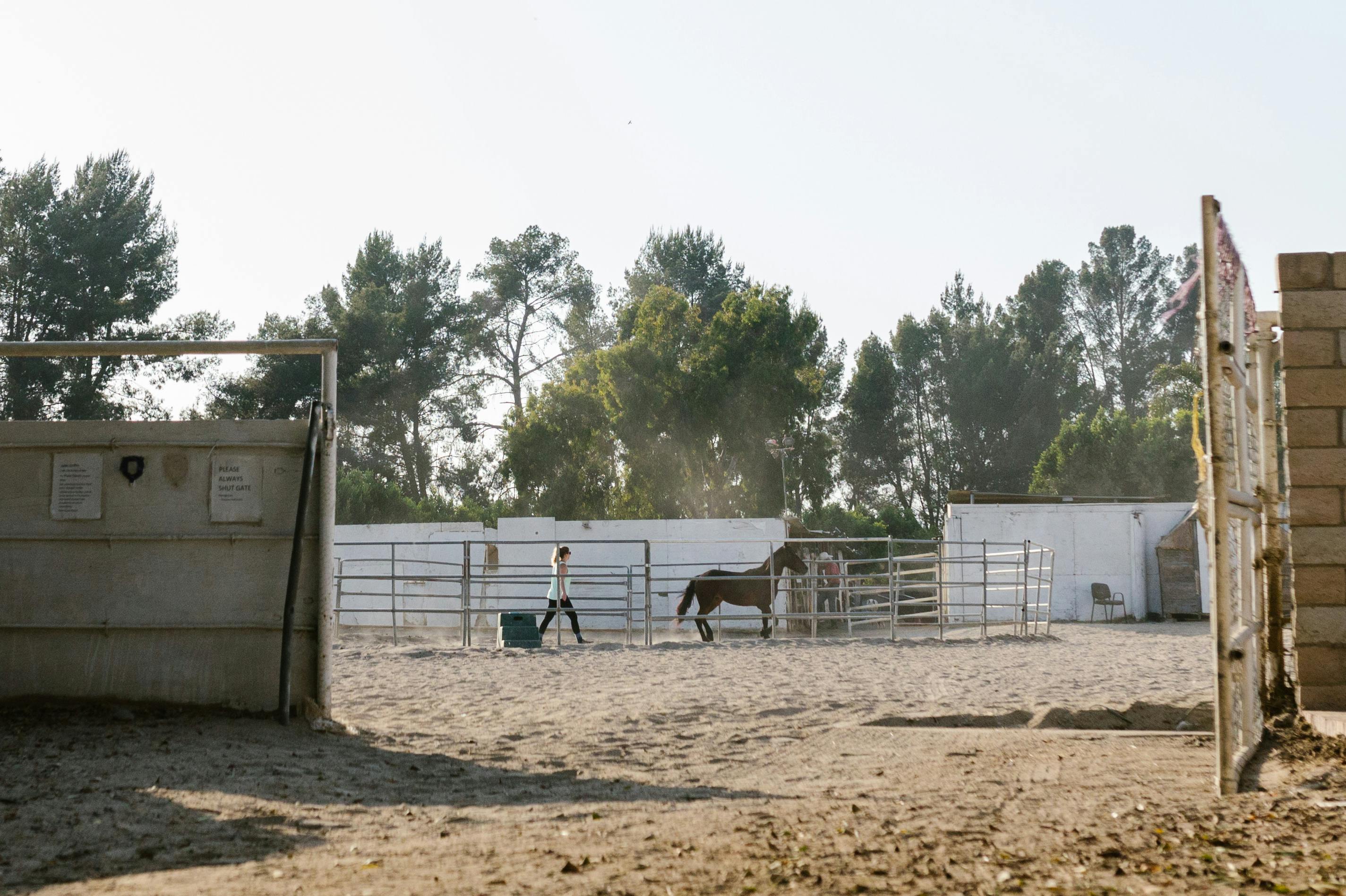 Wood Cowboy Photos, Download The BEST Free Wood Cowboy Stock Photos ...