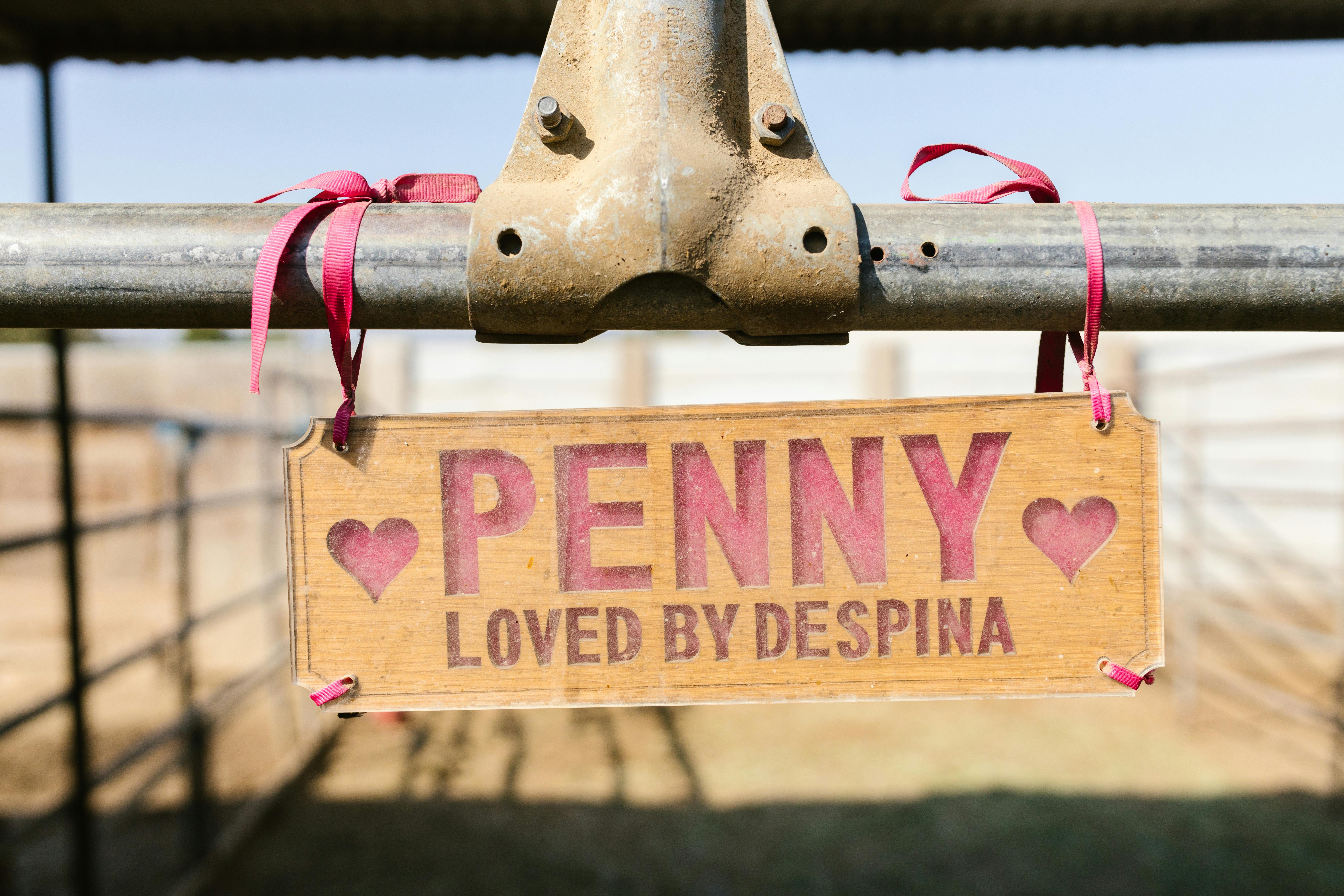 A Hanging Signage on a Metal Pipe · Free Stock Photo