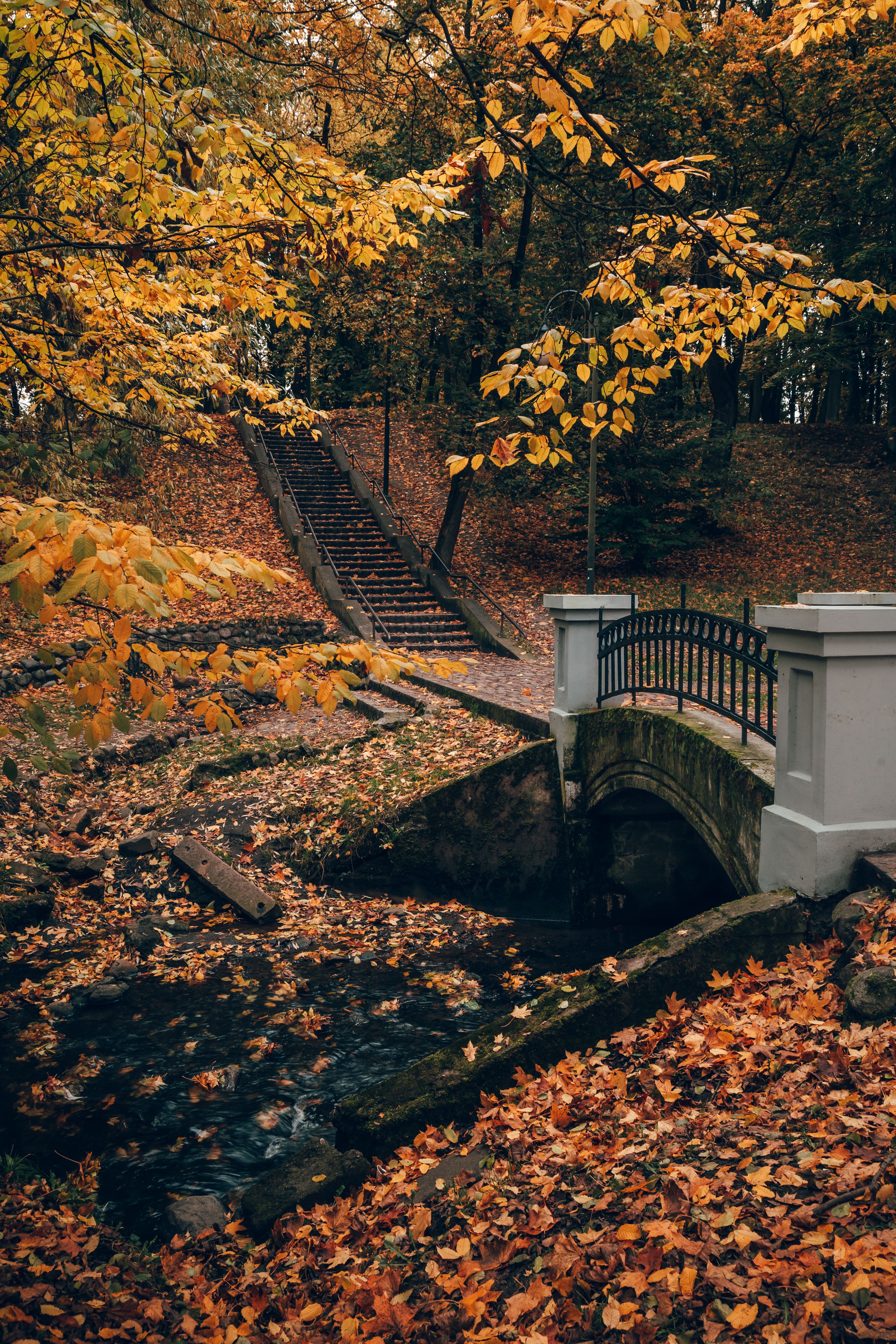 A Concrete Bridge Over a Flowing Water · Free Stock Photo