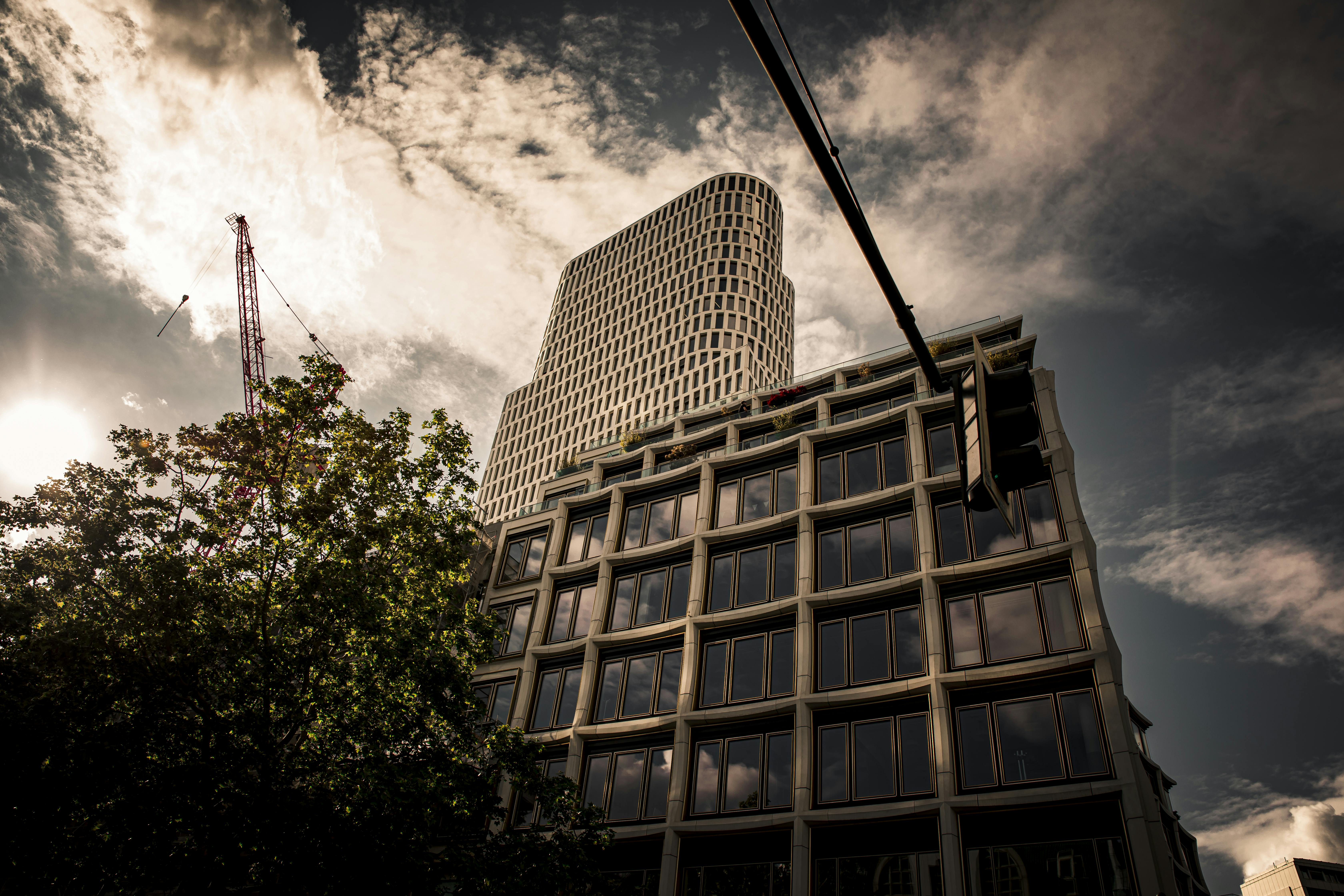 10,000+ Best Hotel Management Photos · 100% Free Download · Pexels ...