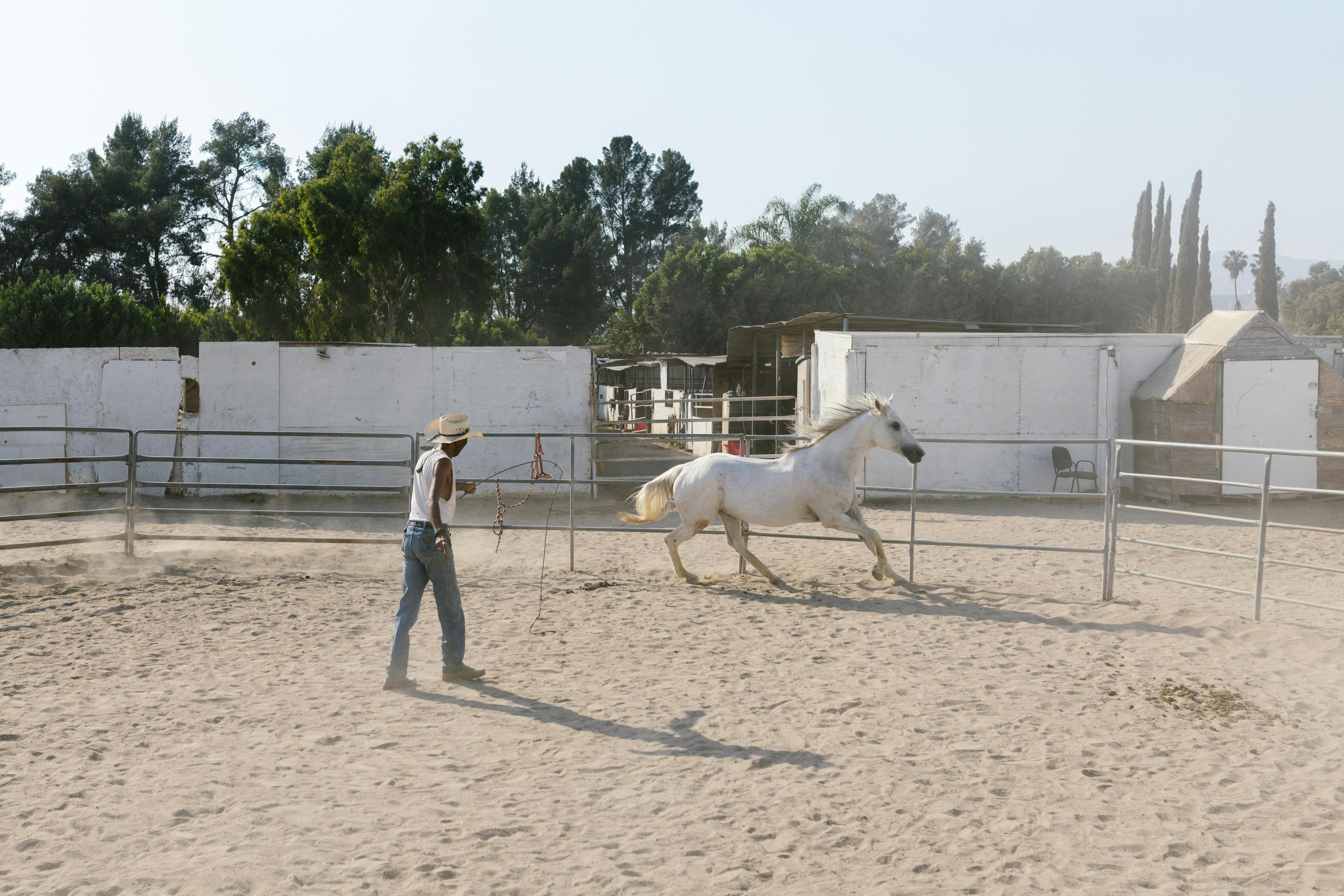 Ranch Life Photos, Download The BEST Free Ranch Life Stock Photos & HD ...
