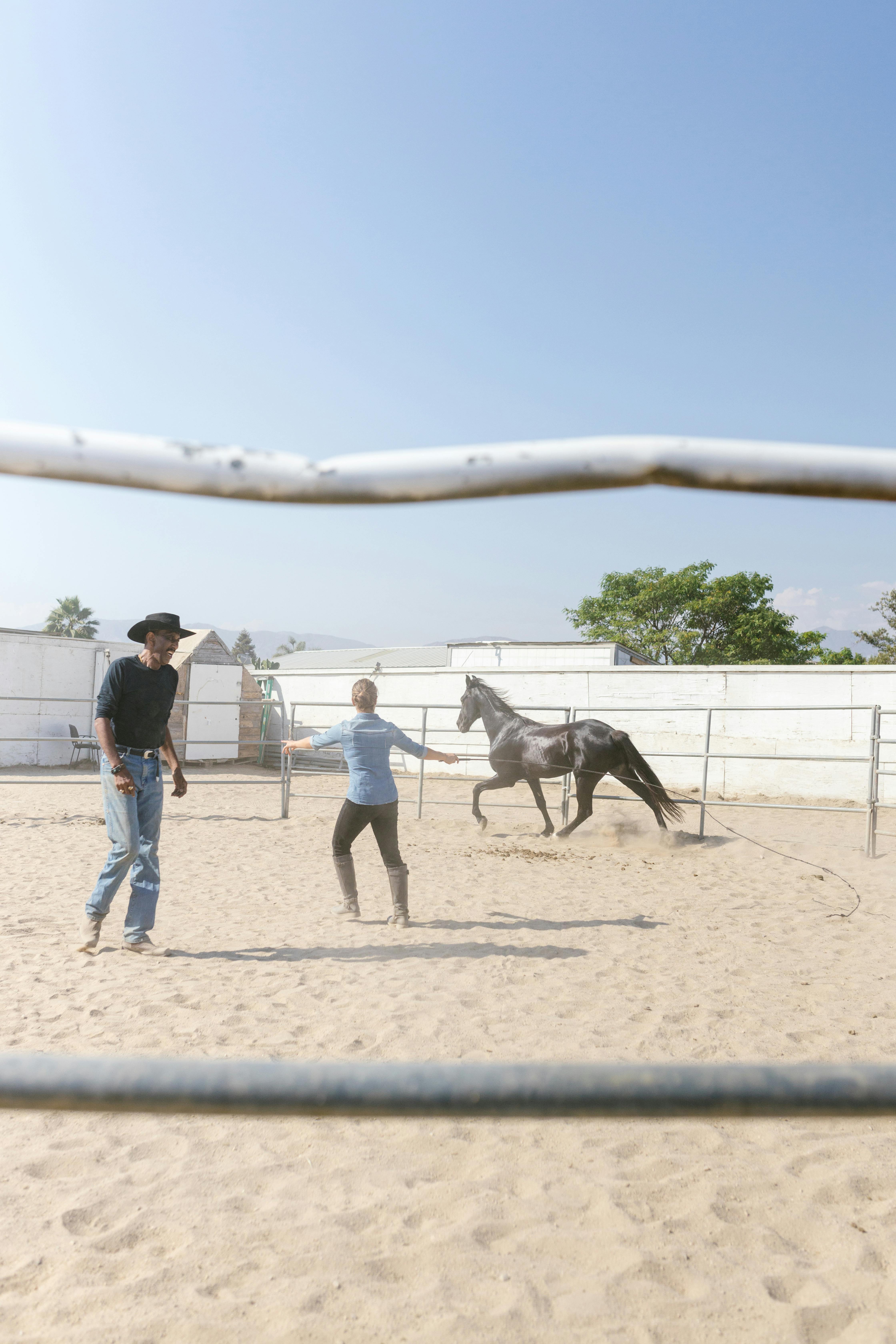 Running Horse Photos, Download The BEST Free Running Horse Stock Photos ...