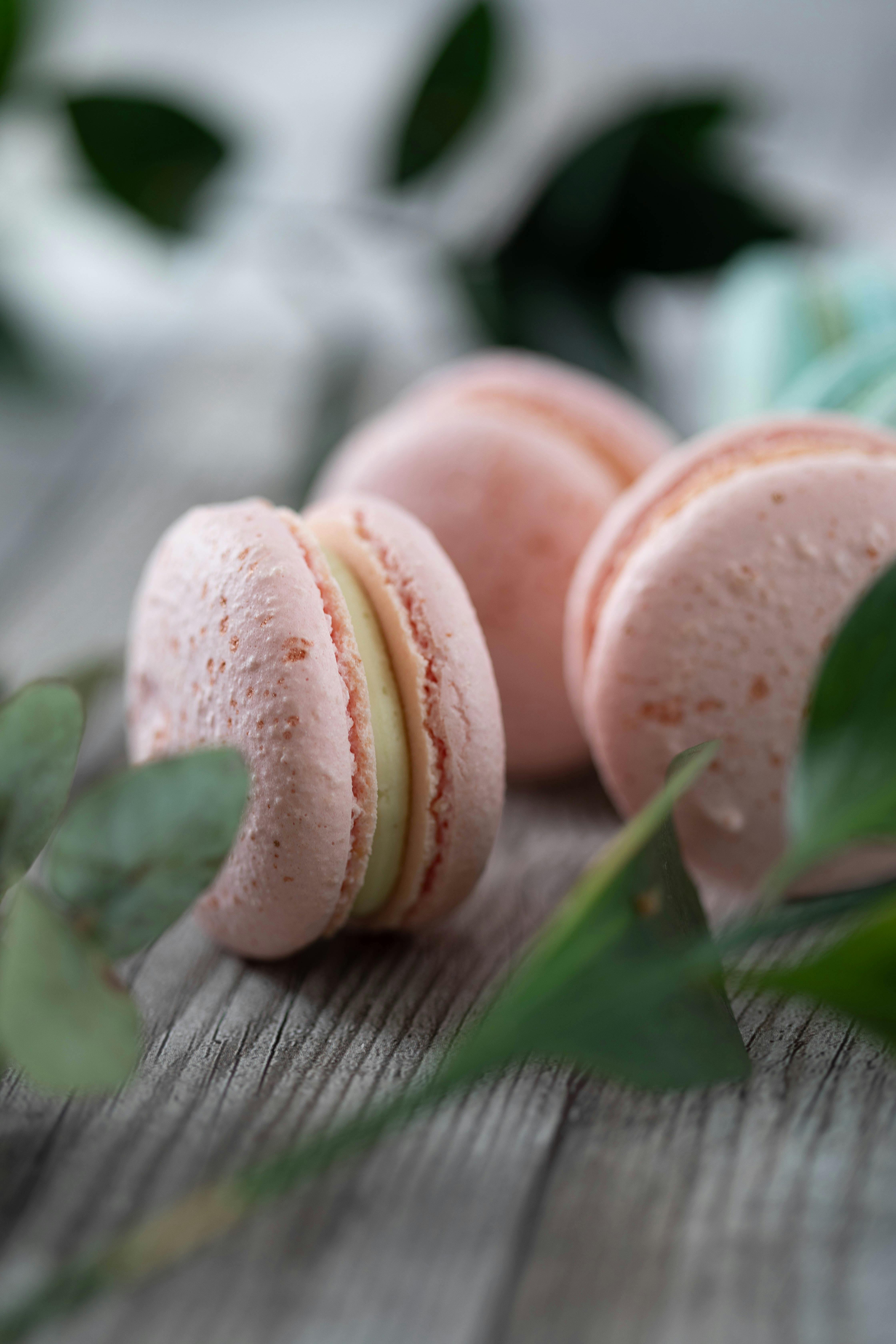Macaroon Background Photos, Download The BEST Free Macaroon Background ...