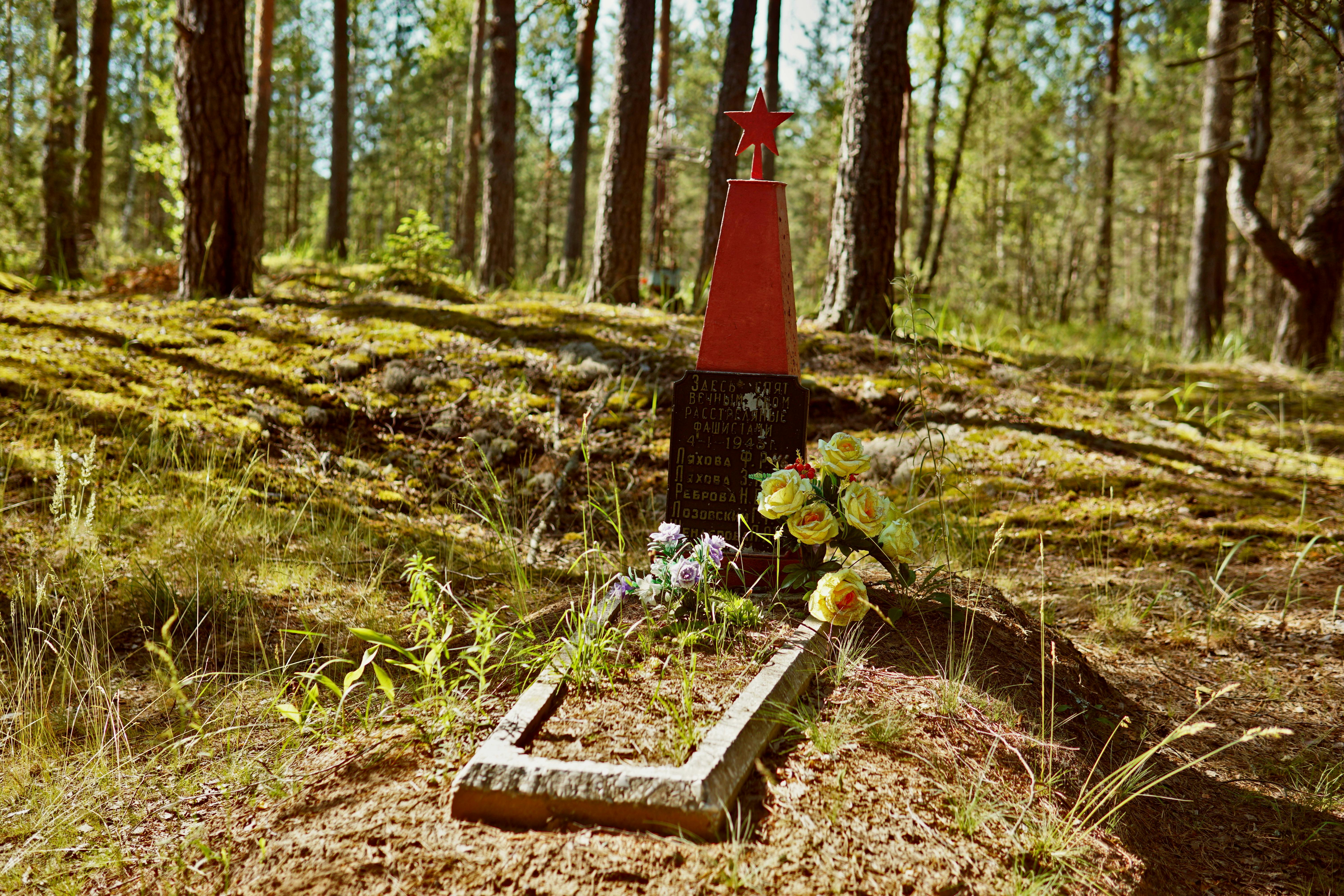Grave with a Cyrillic Inscription in a Forest · Free Stock Photo