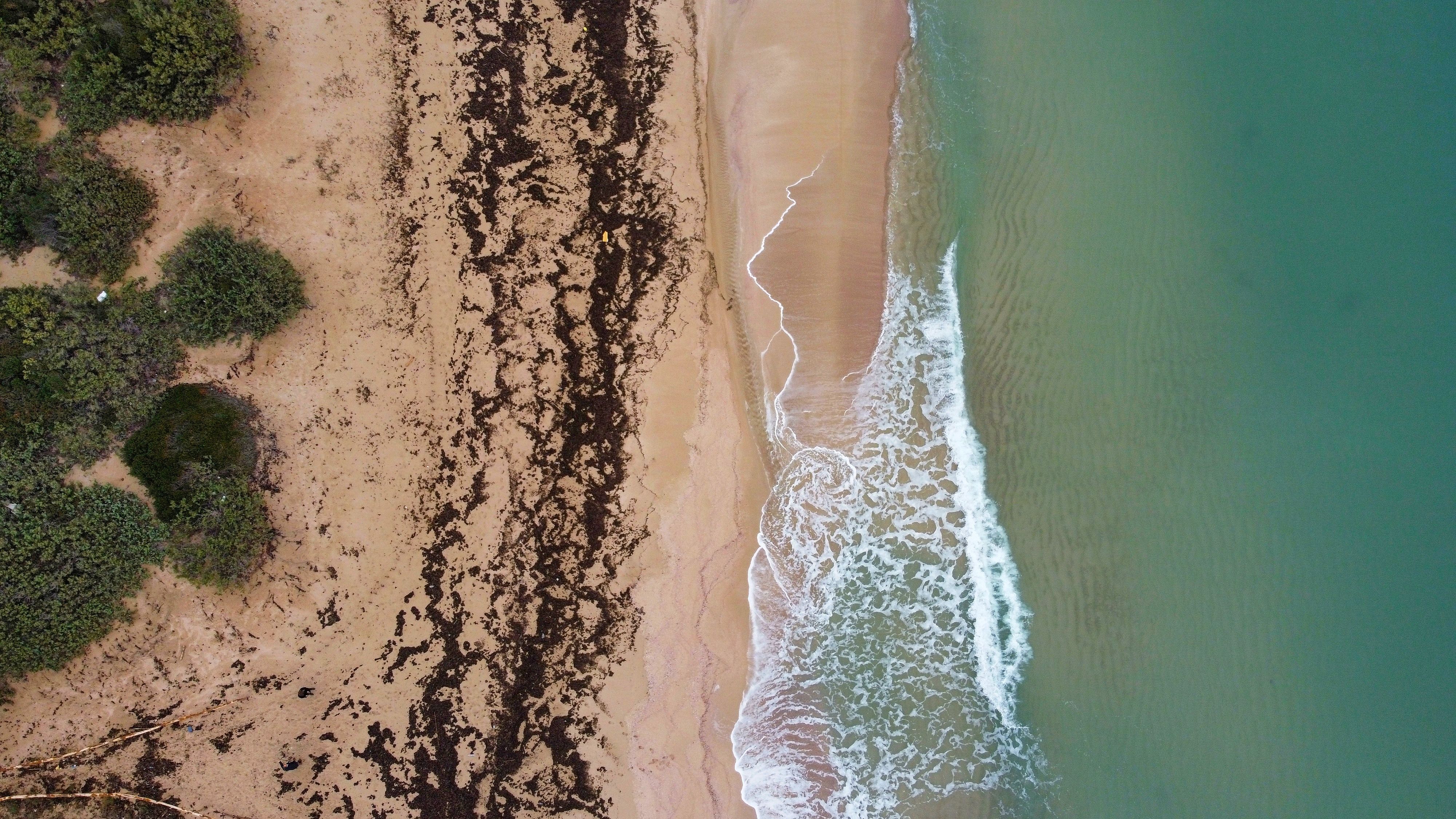 Drone Shot of Sand at the Beach · Free Stock Photo