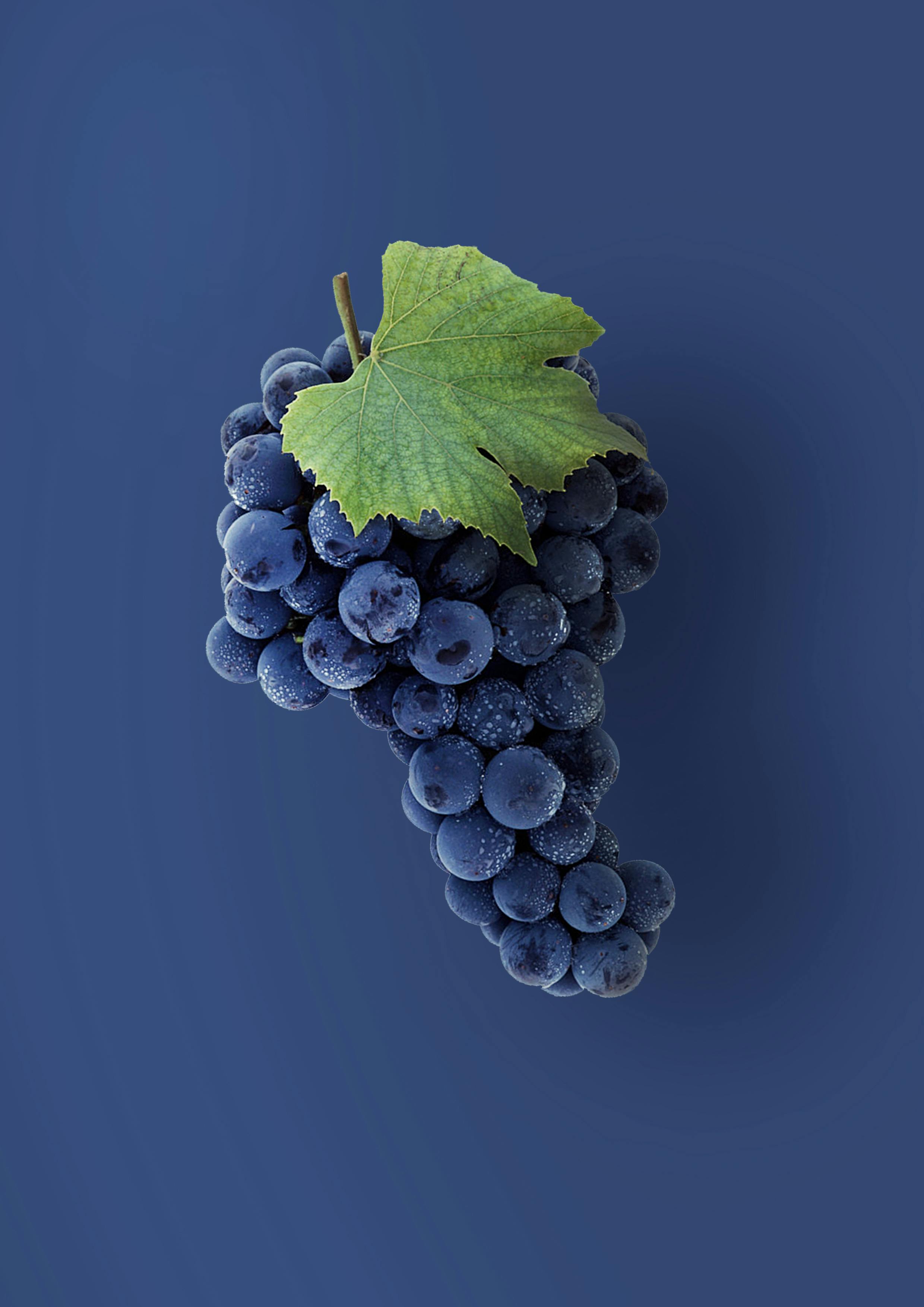 Red Round Grapes on Black Surface · Free Stock Photo