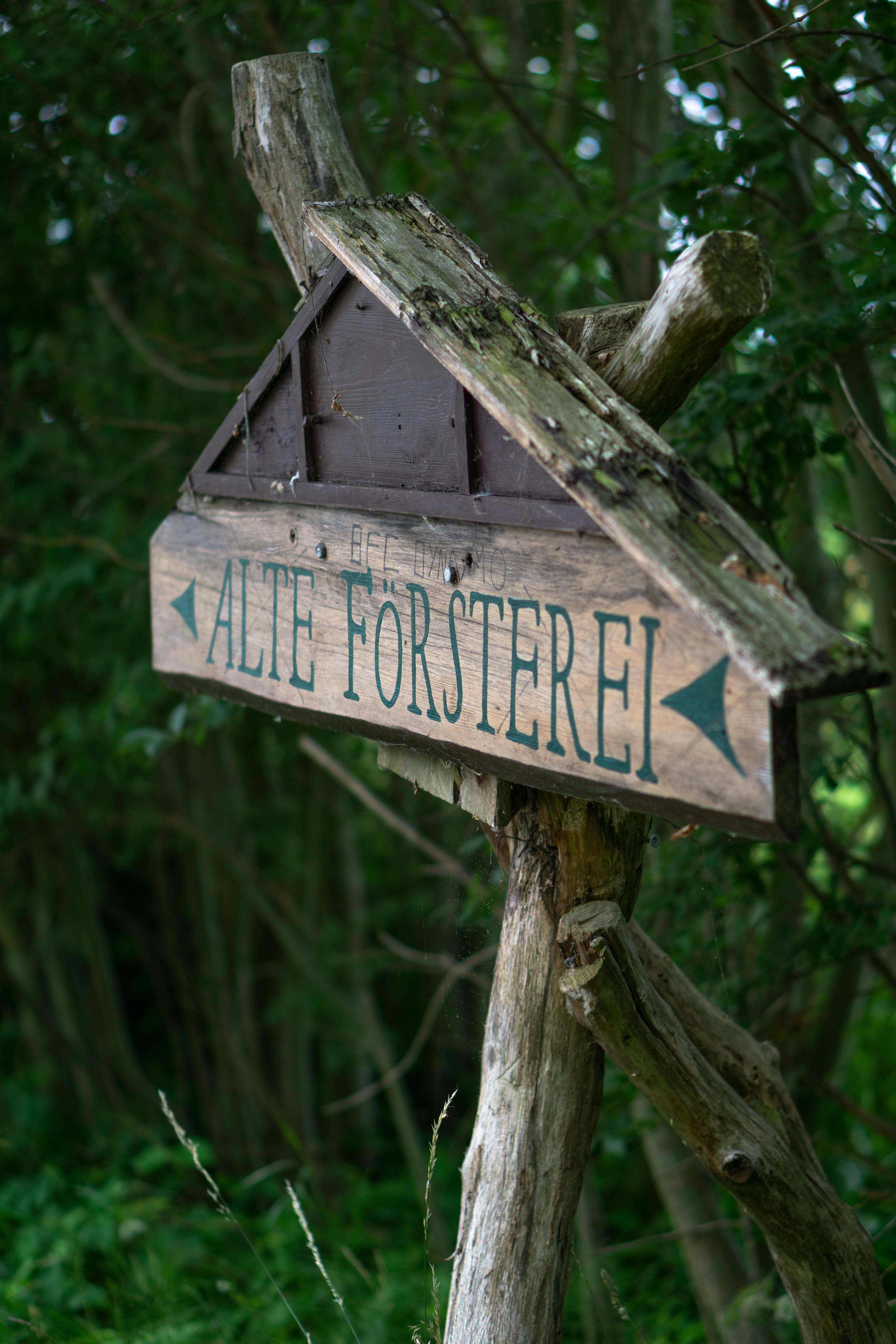 A Wooden Directional Sign in the Forest · Free Stock Photo