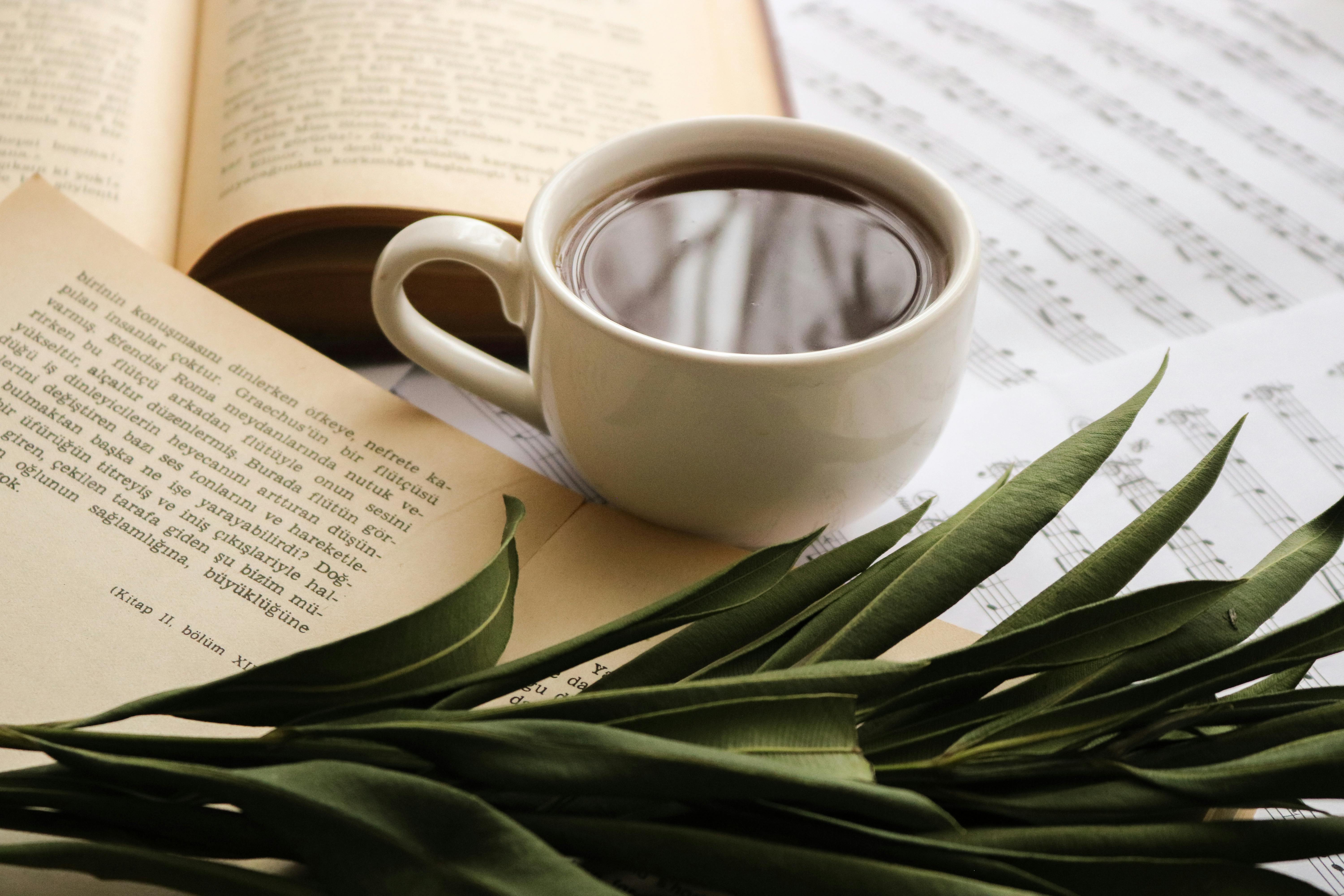 Appointment Book Photos, Download The BEST Free Appointment Book Stock ...