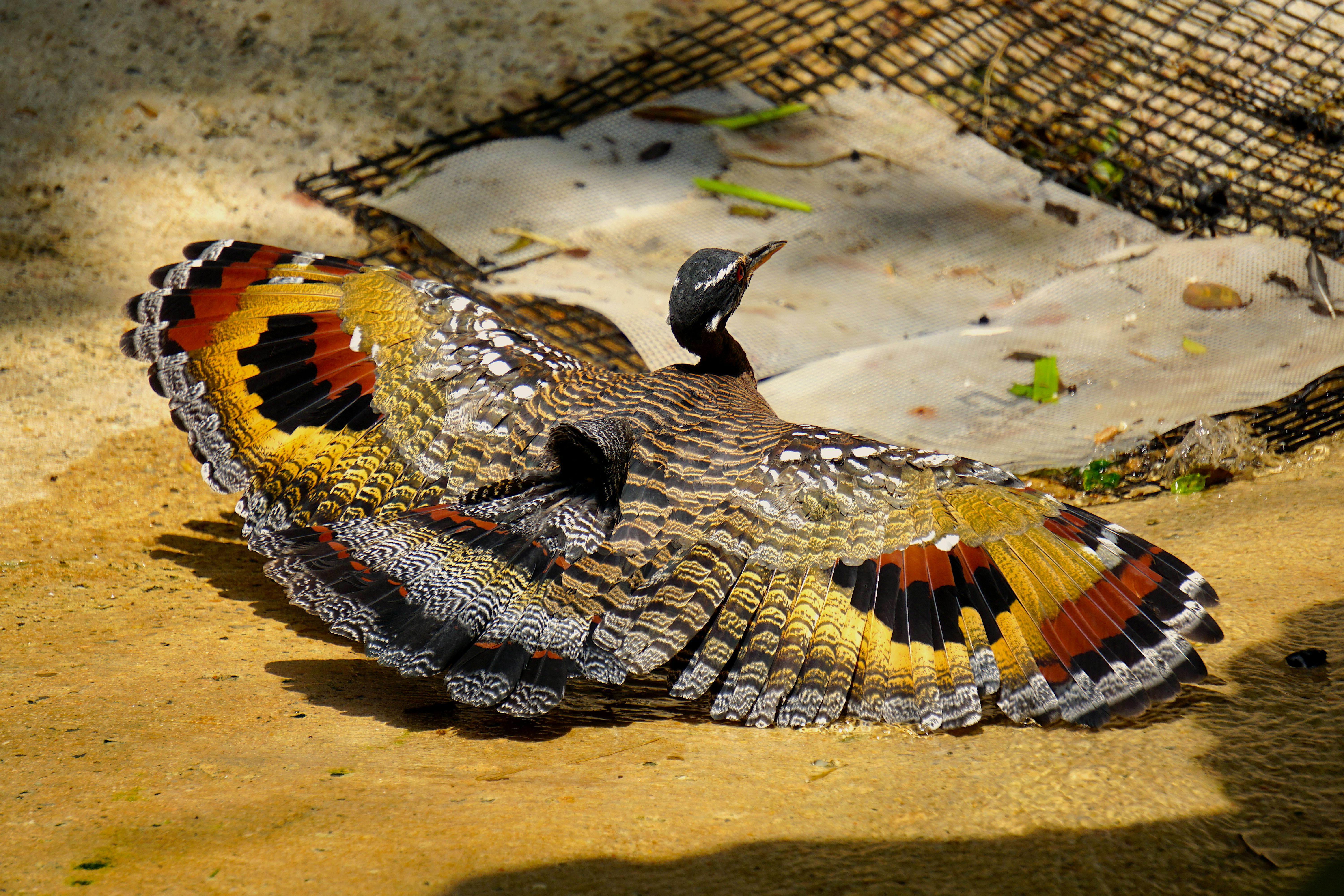 Cesar Aguilar · Photography