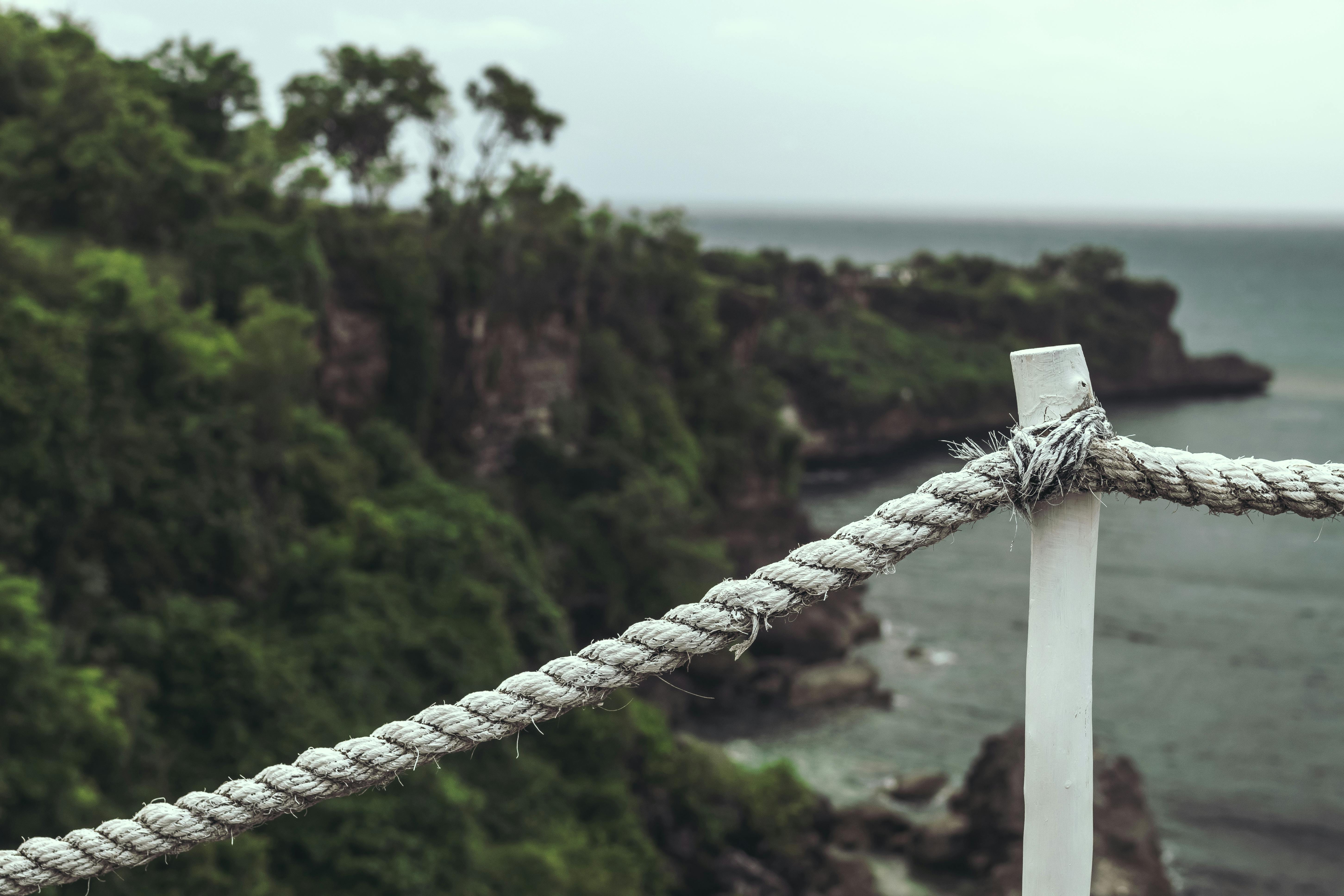 Green Rope Tied on Tree · Free Stock Photo