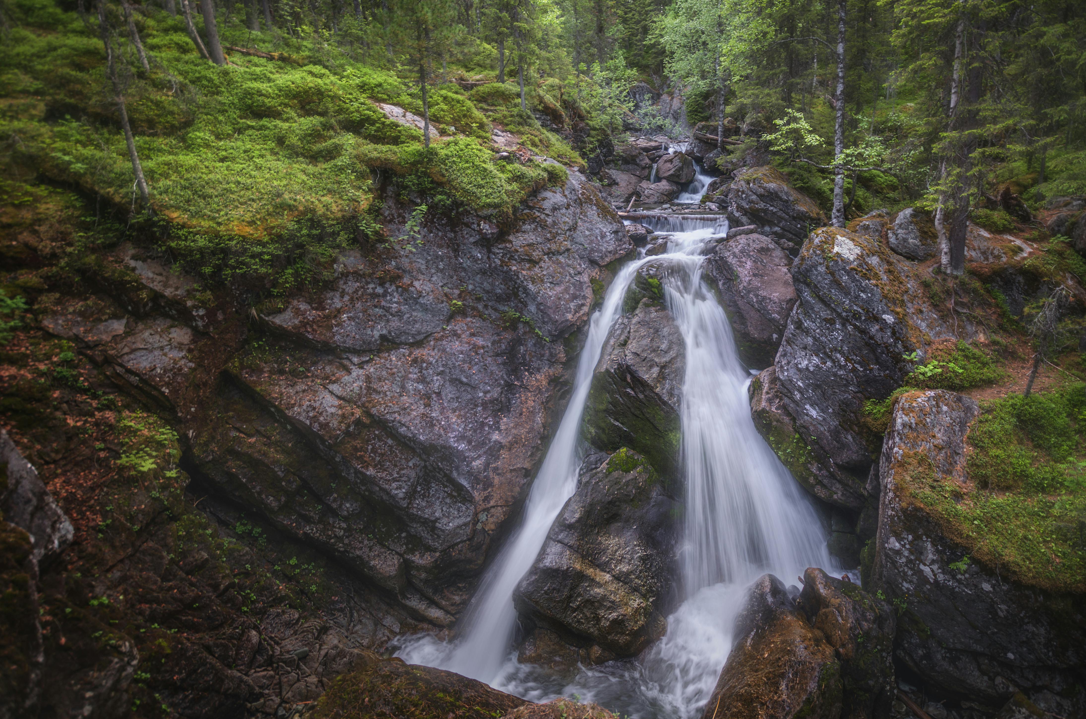 Waterfalls in the Forest · Free Stock Photo