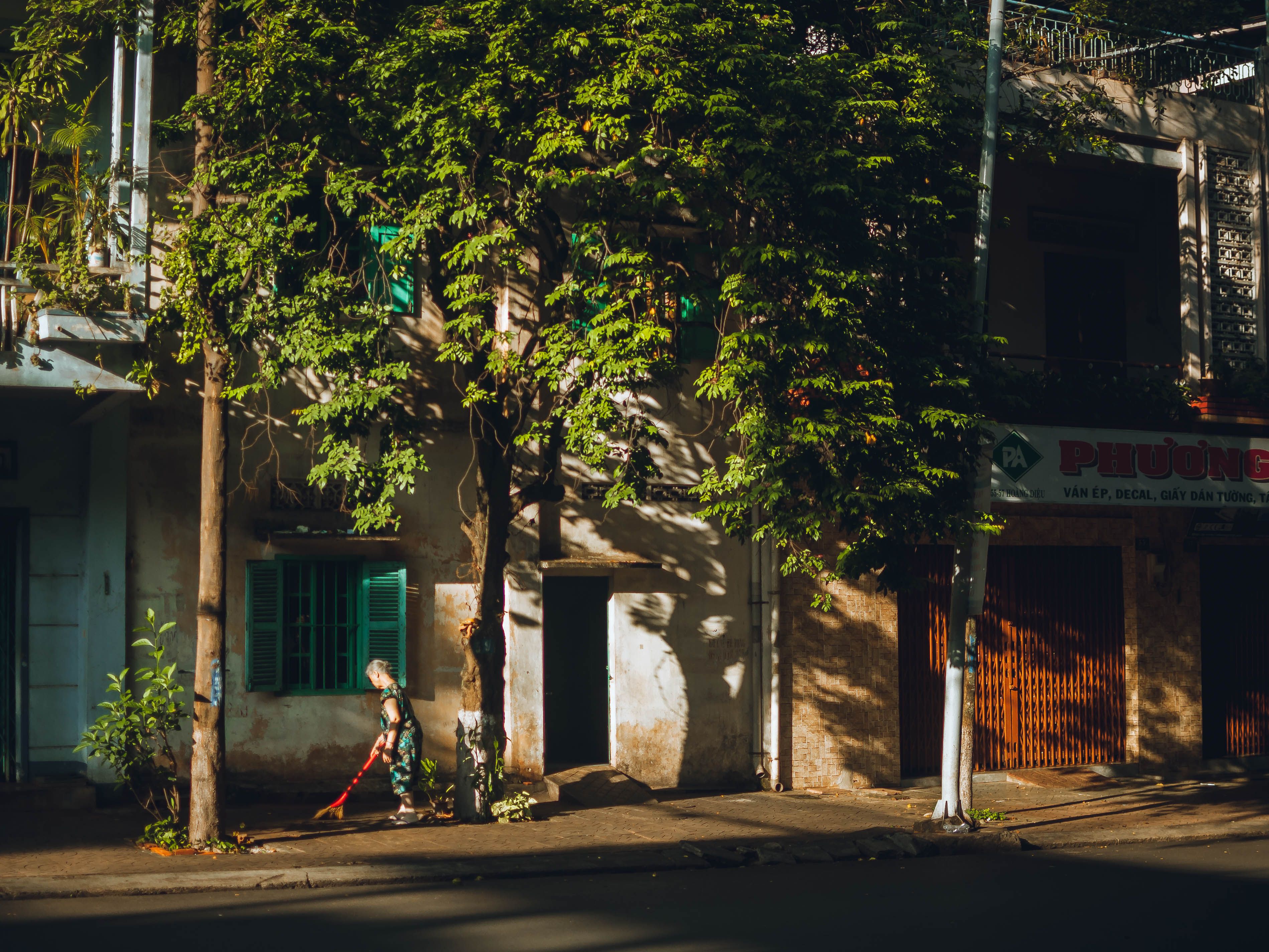 Green Tree Near the House · Free Stock Photo