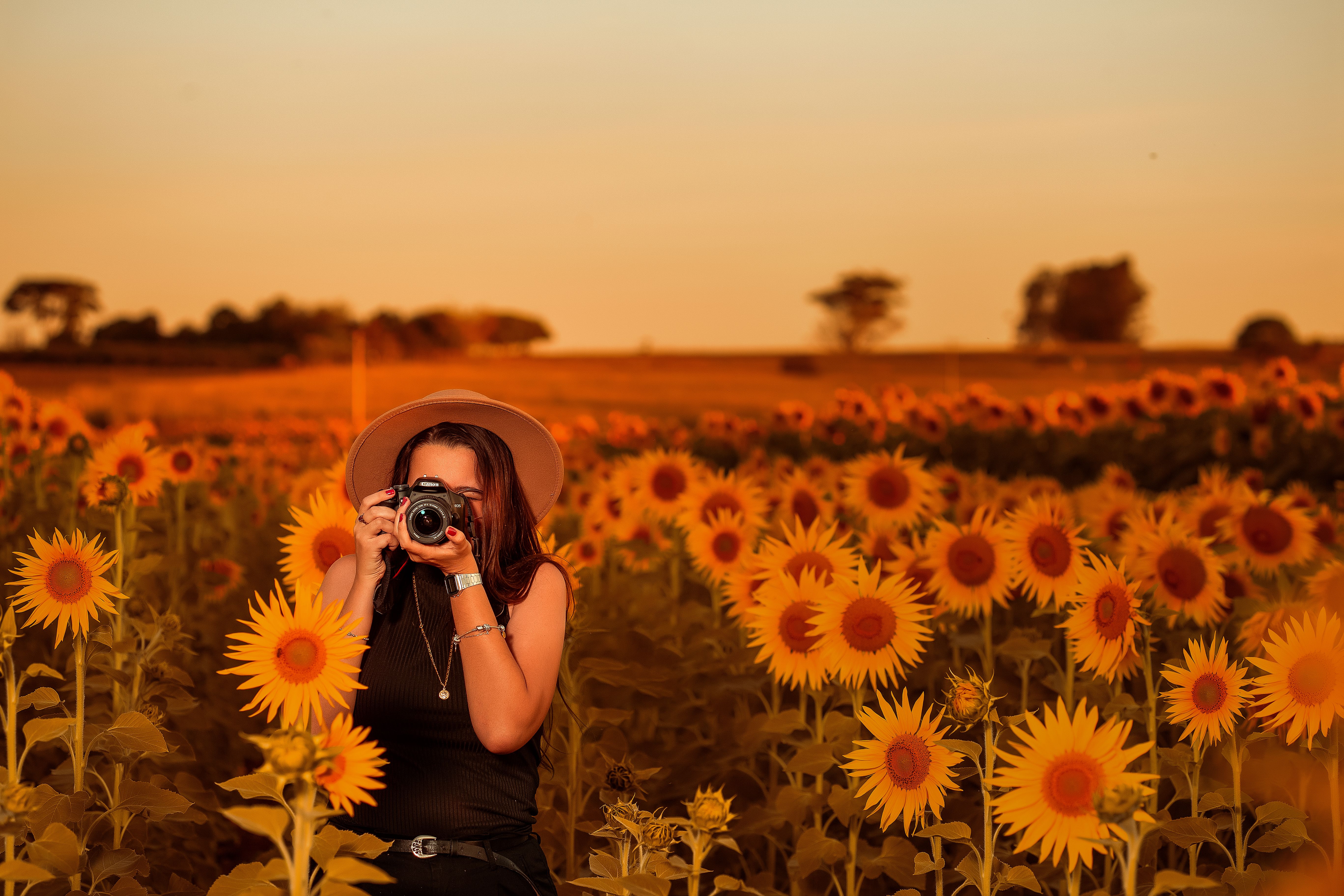 A Woman Sitting on the Flower Field · Free Stock Photo