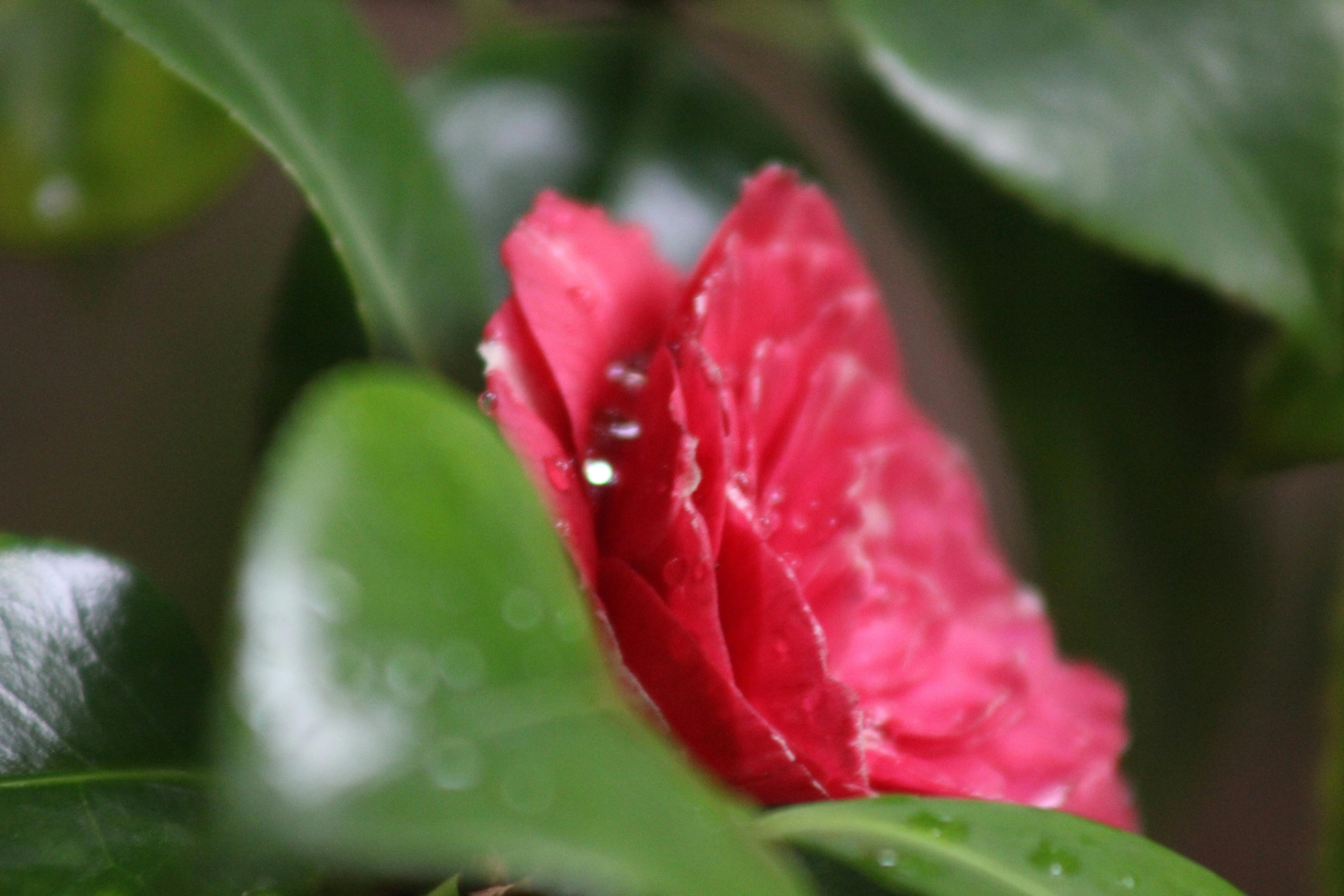 Gerardo Infante - Photography