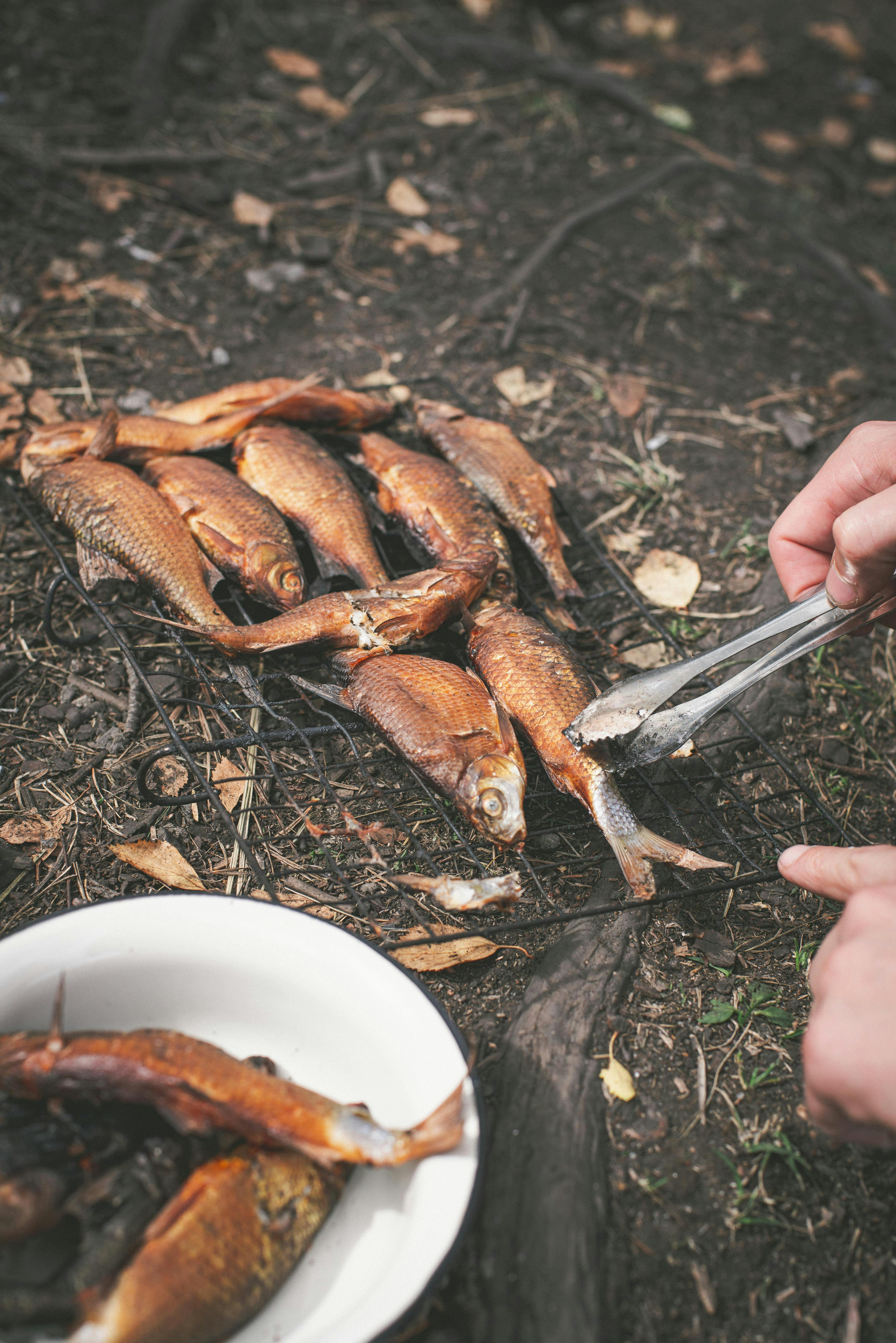 Person Grilling a Fish · Free Stock Photo