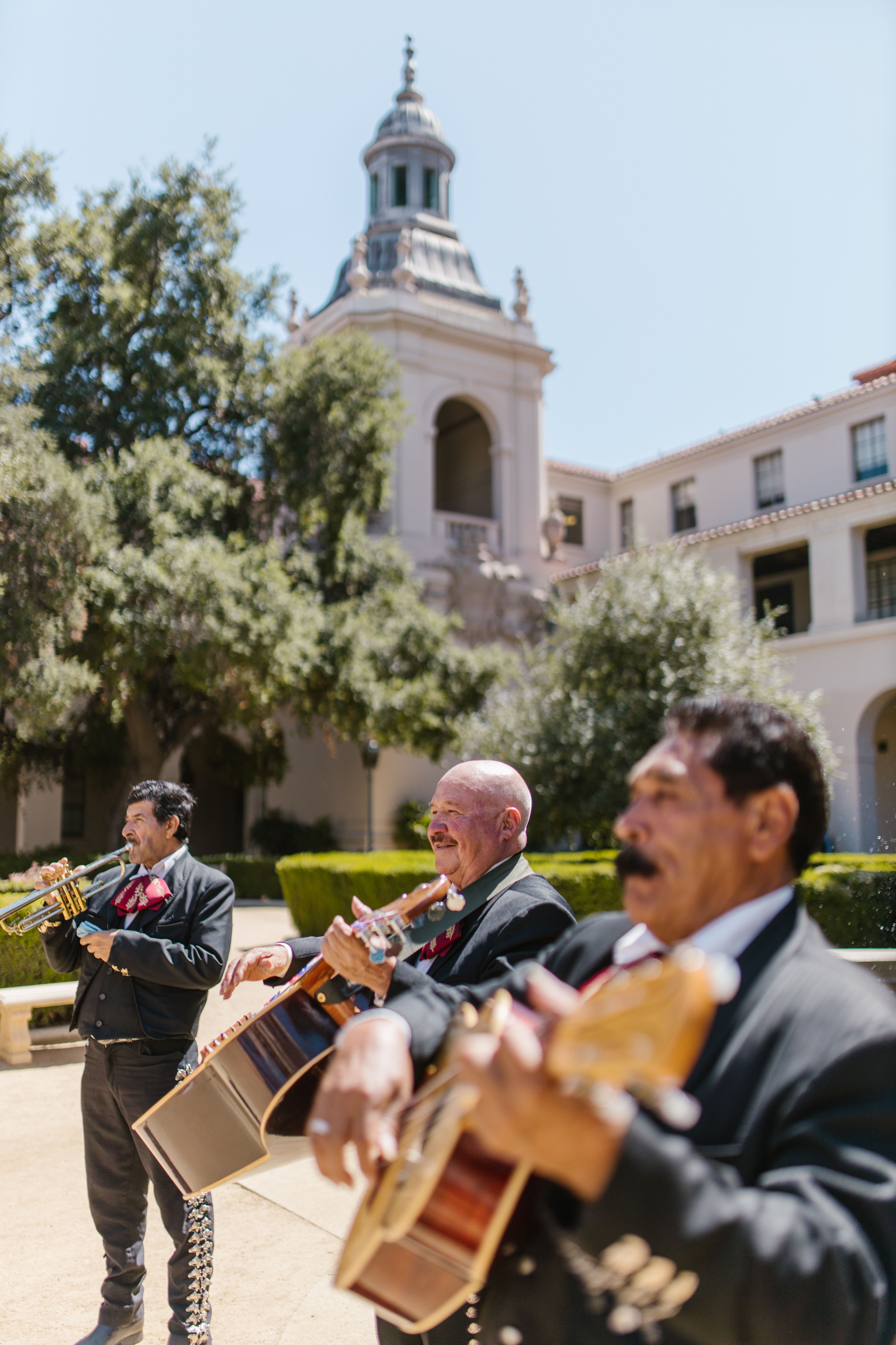 Group of Men Playing Musical Instruments · Free Stock Photo