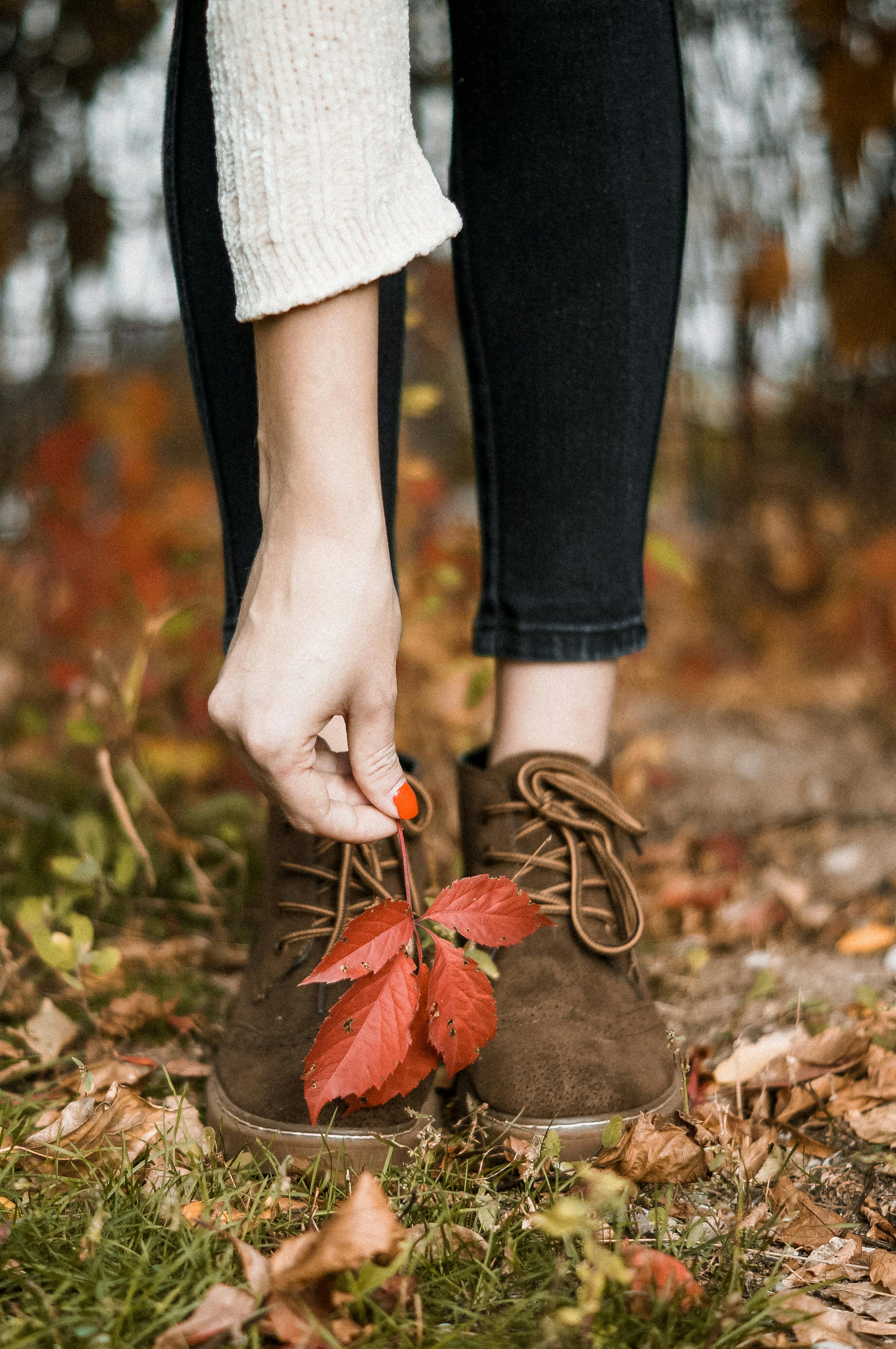 Outstanding Color Photos, Download The BEST Free Outstanding Color ...