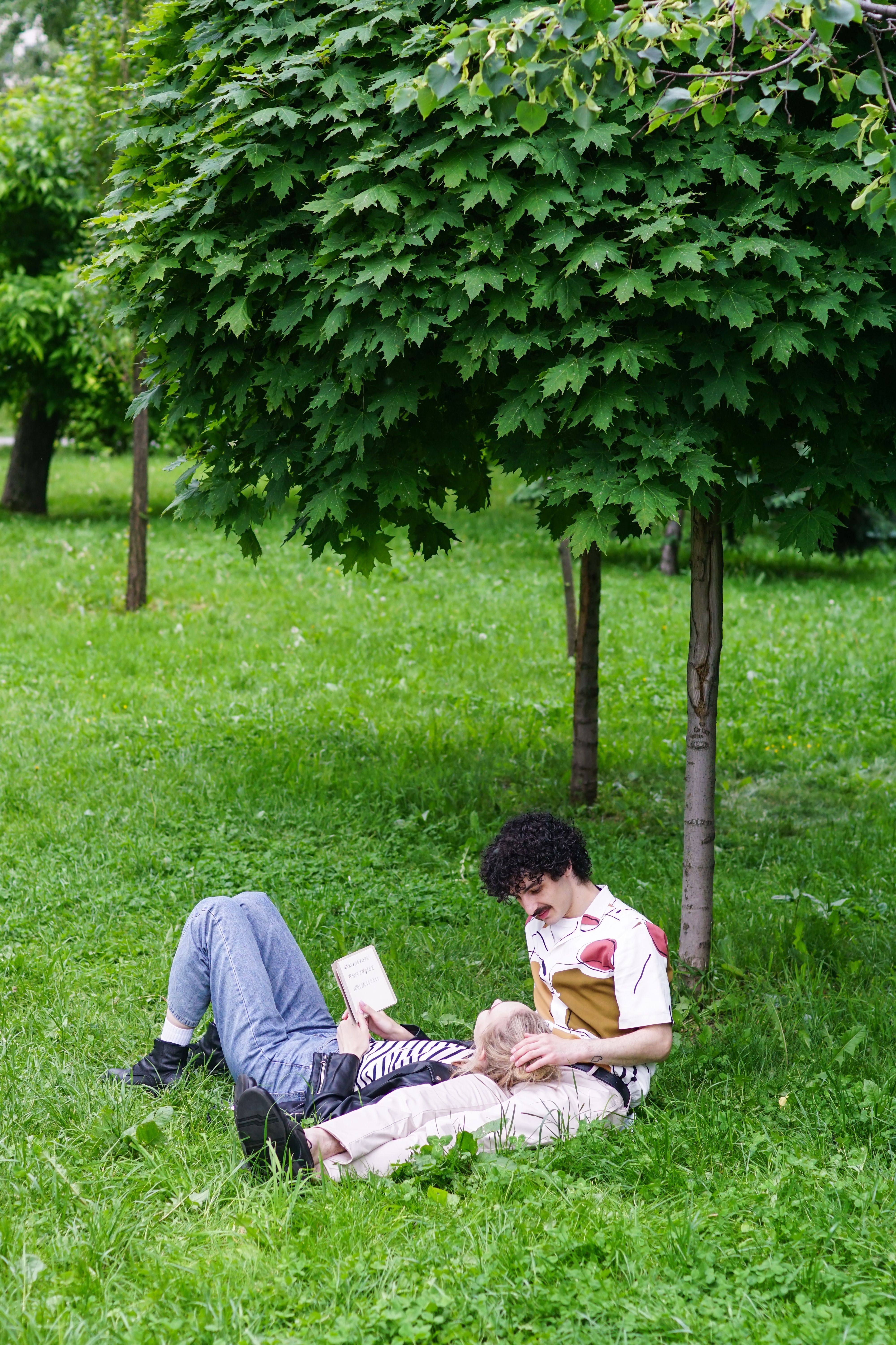 Couple Under a Tree · Free Stock Photo