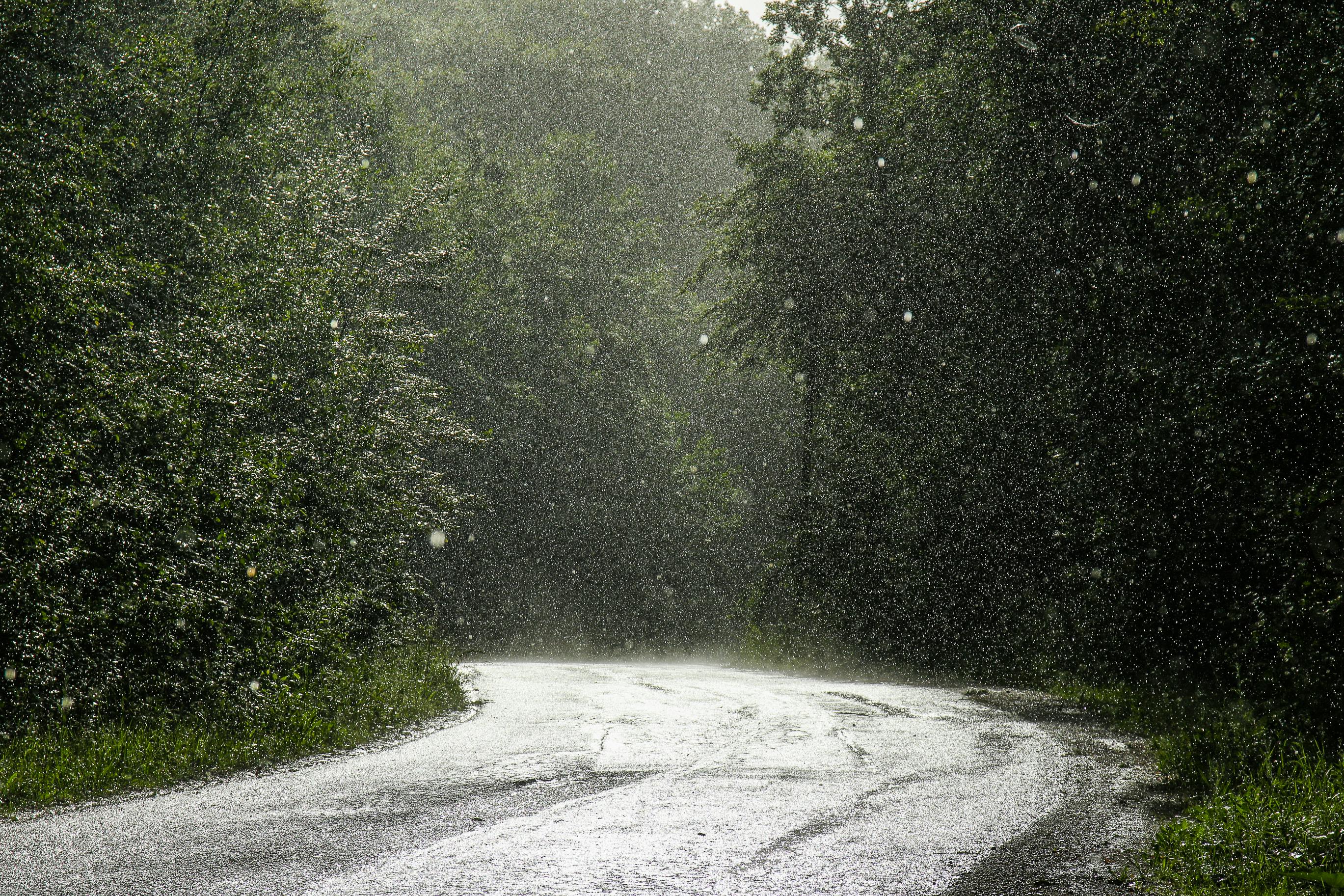 Raining Environment Photos, Download Free Raining Environment Stock ...