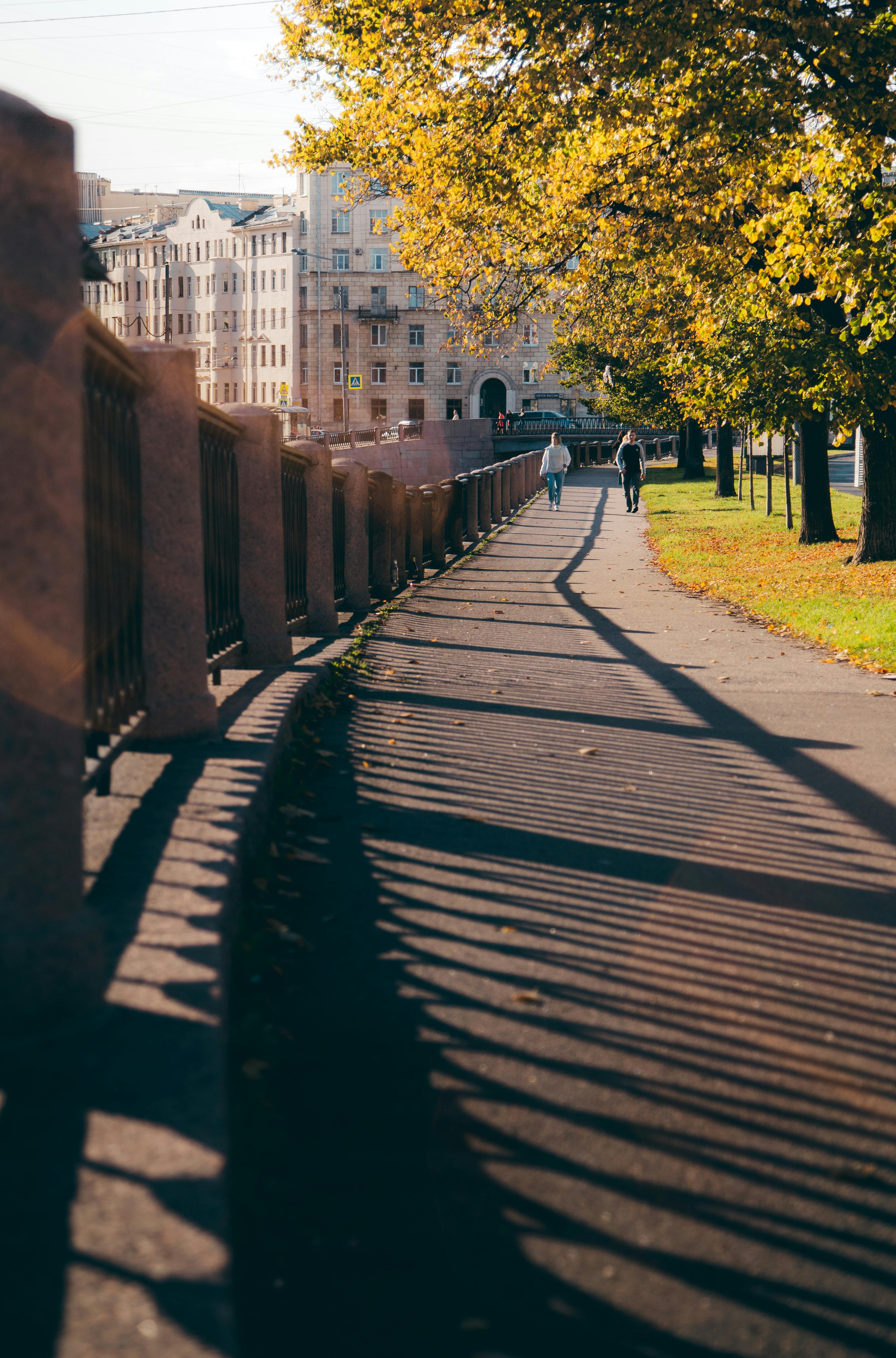 People Walking on the Street · Free Stock Photo