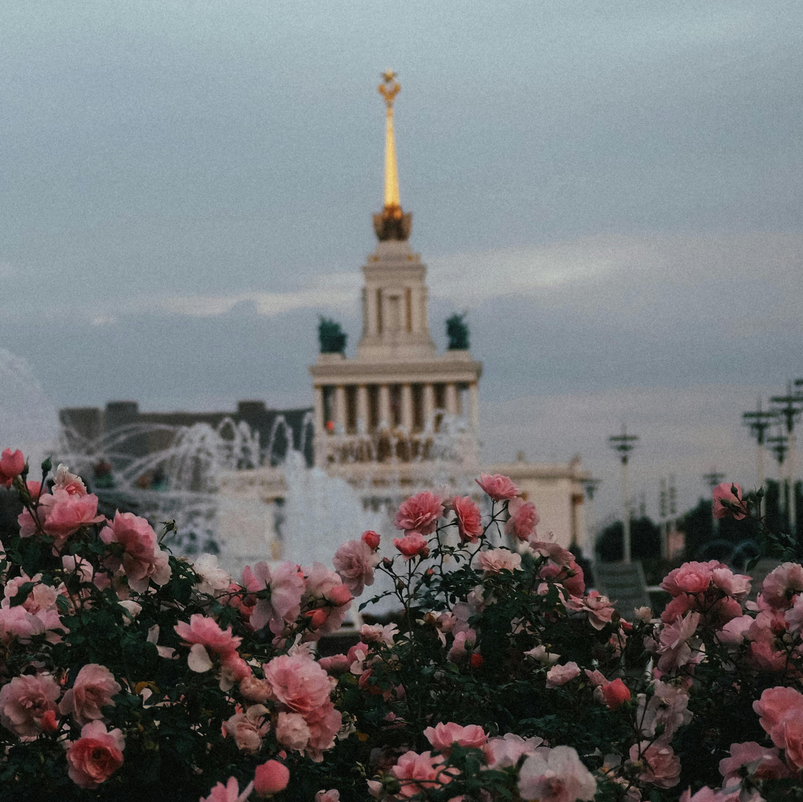 Soviet Pink Photos, Download The BEST Free Soviet Pink Stock Photos ...